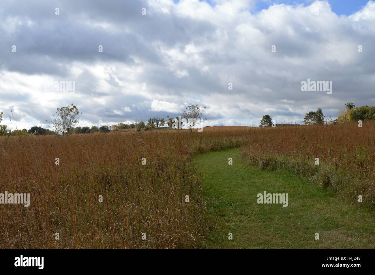 Path Through the Prairie Stock Photo - Alamy