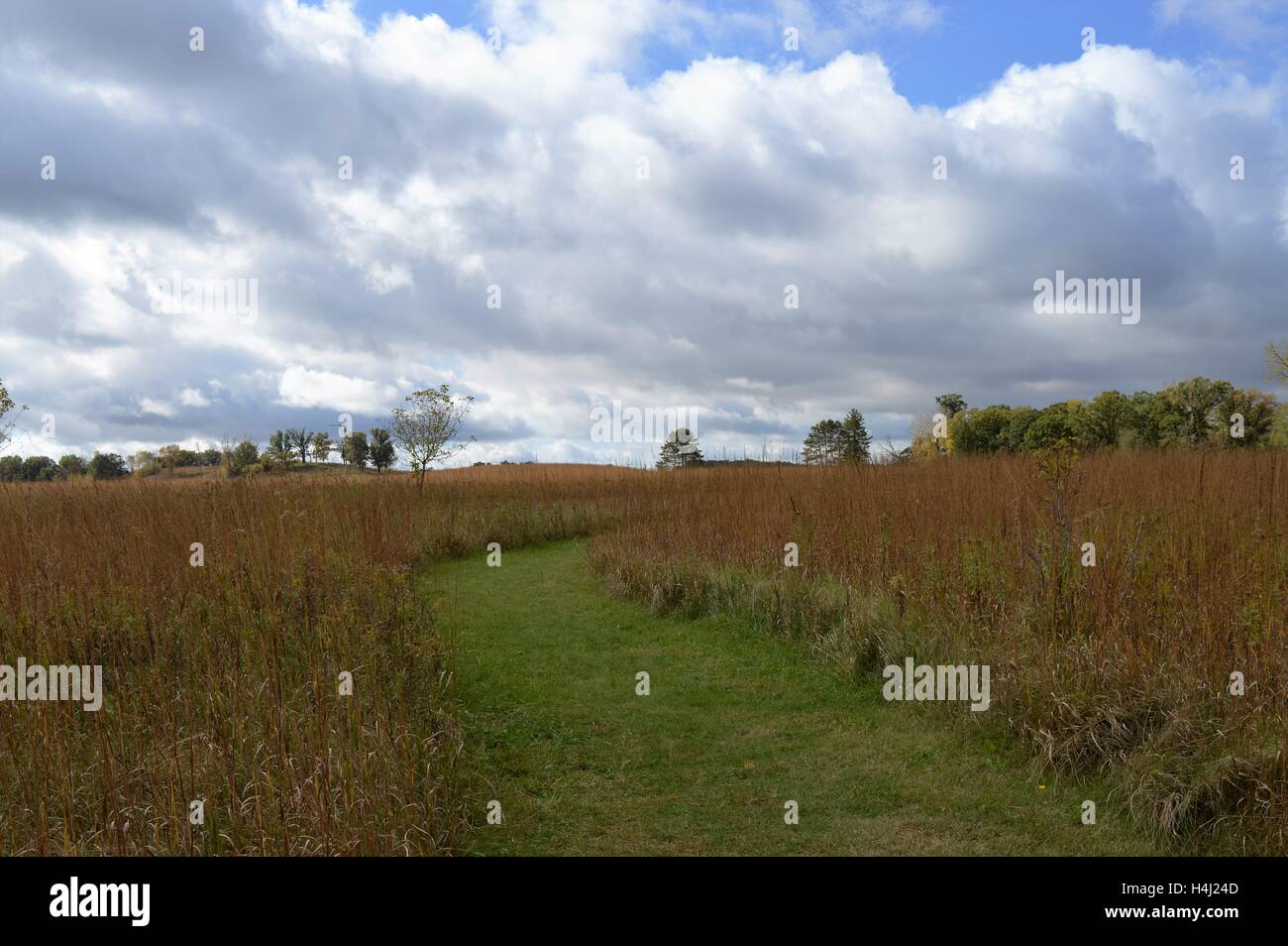 Path Through the Prairie Stock Photo - Alamy