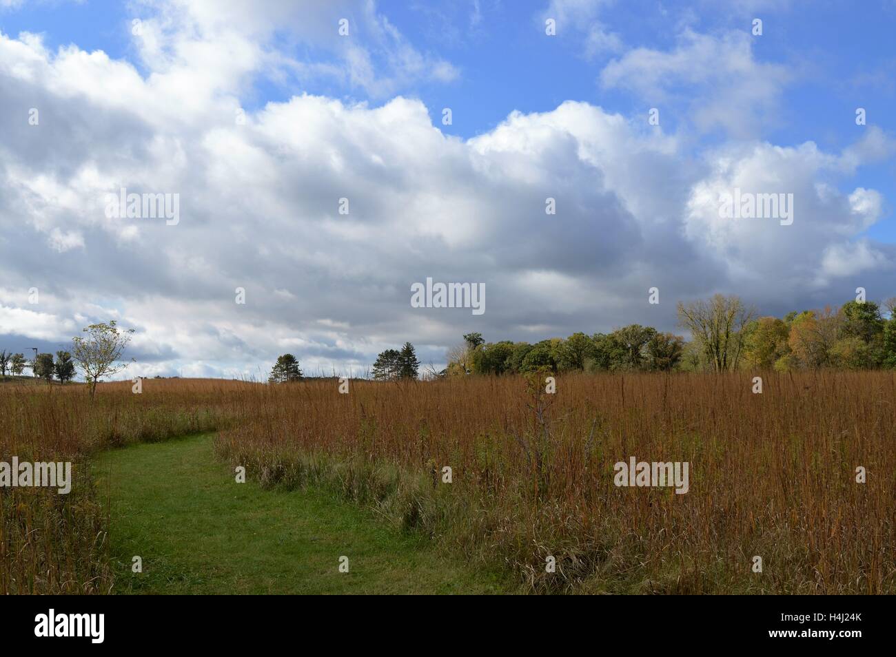 Path Through the Prairie Stock Photo - Alamy