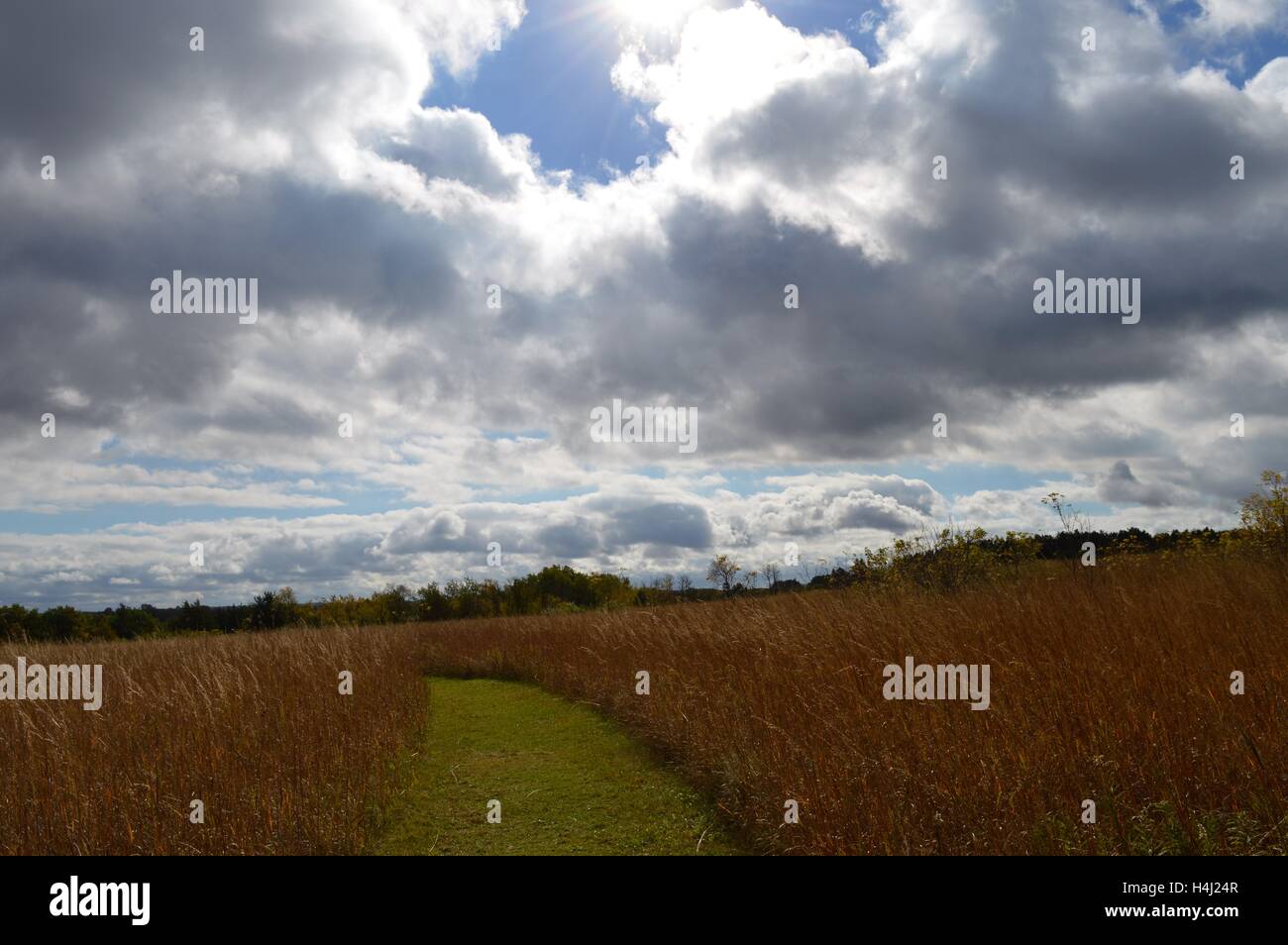 Path Through the Prairie Stock Photo - Alamy