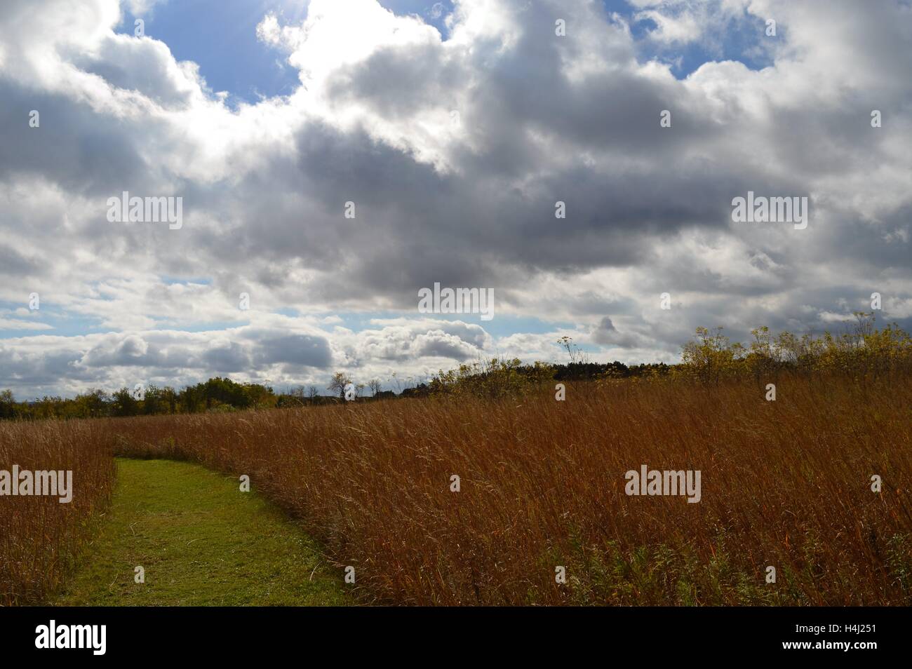 Path Through the Prairie Stock Photo - Alamy