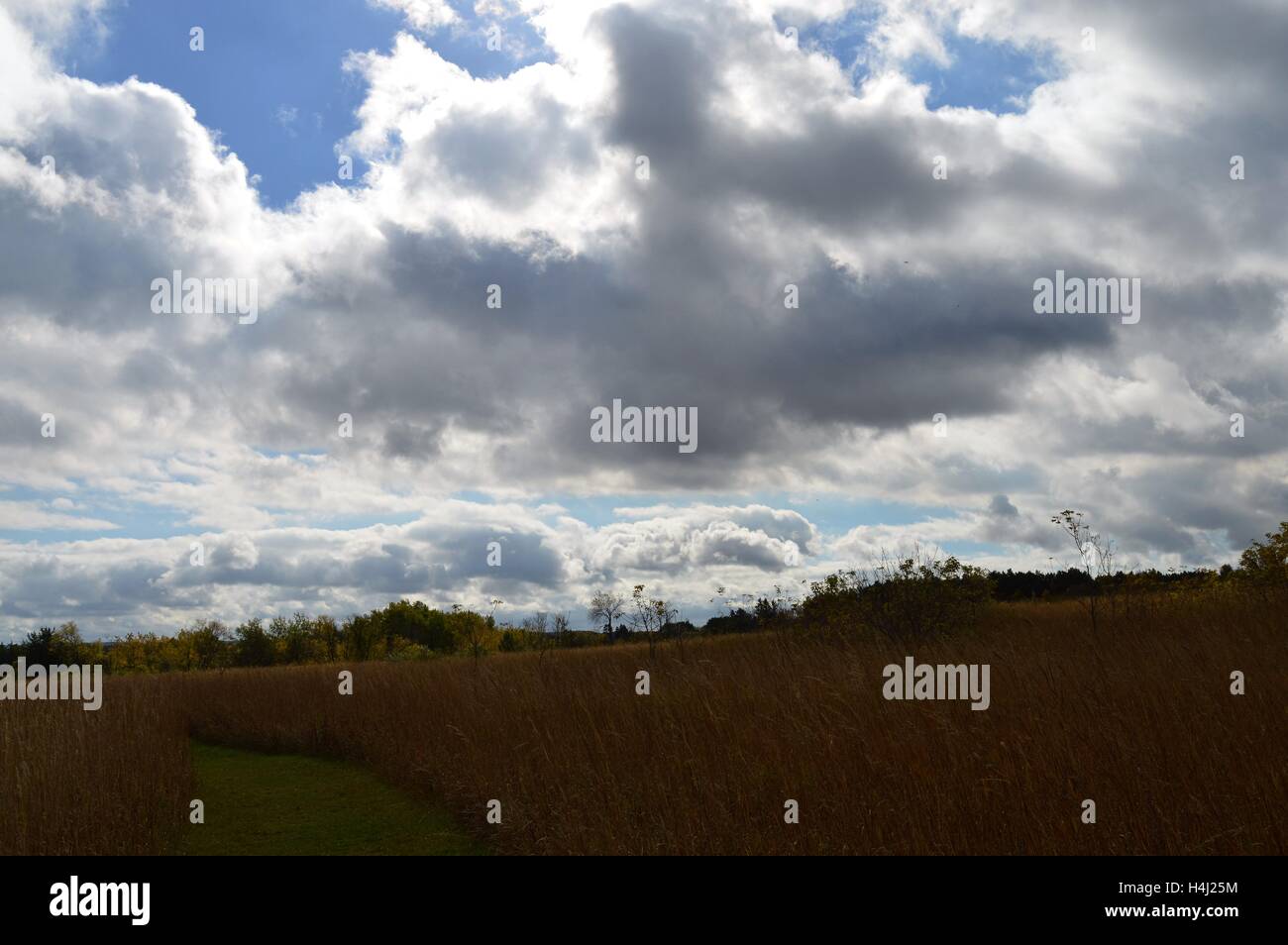 Path Through the Prairie Stock Photo - Alamy