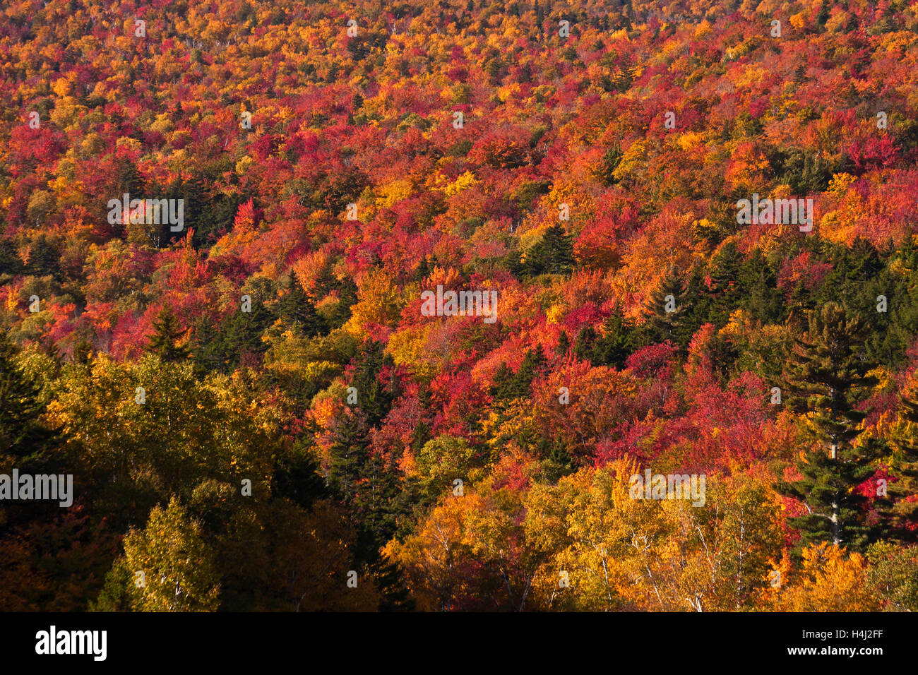 New Hampshire, autumn, Mount Washington, Mount Washington Auto Road ...