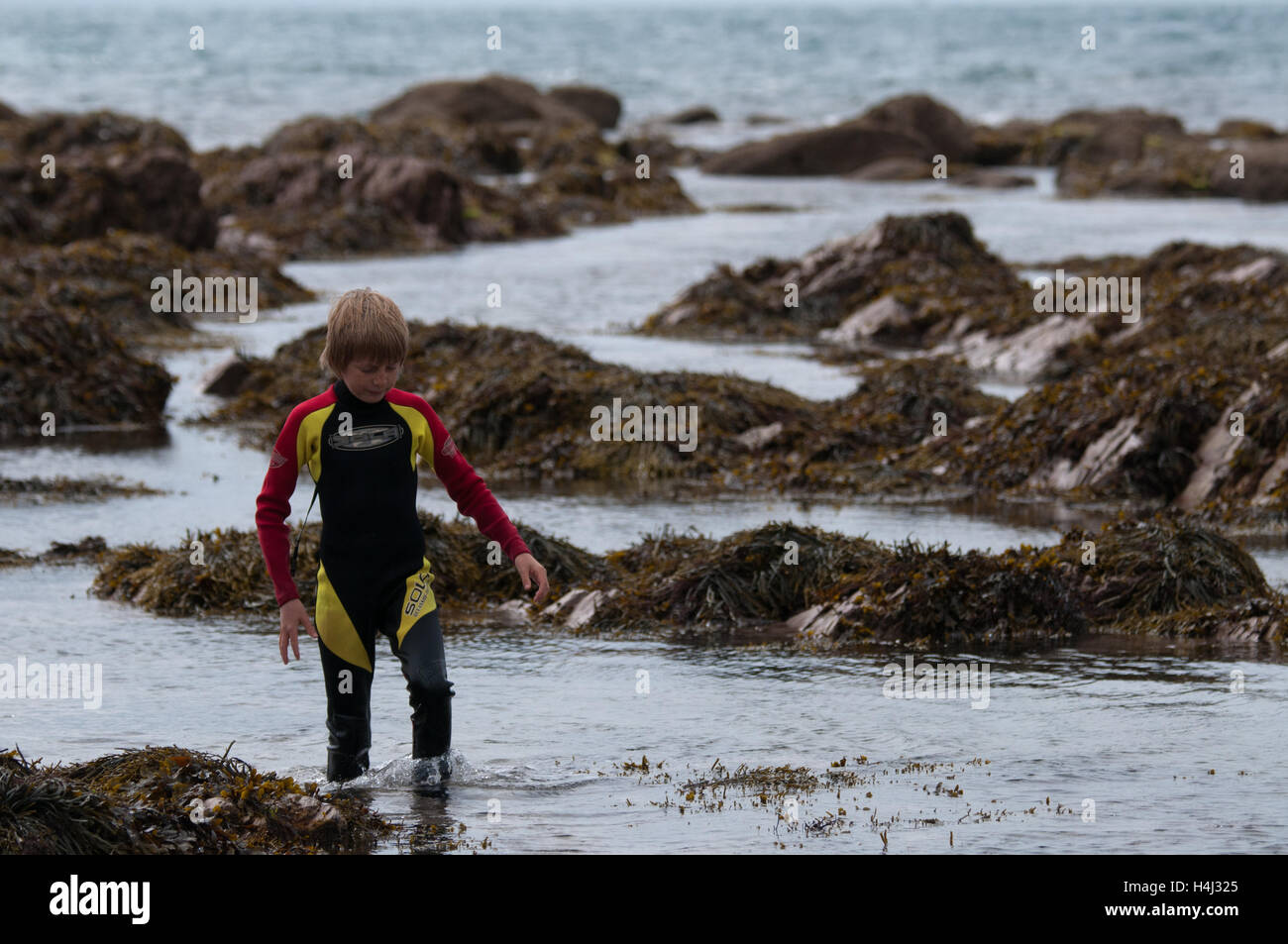 Boy wading through rock pool Stock Photo - Alamy