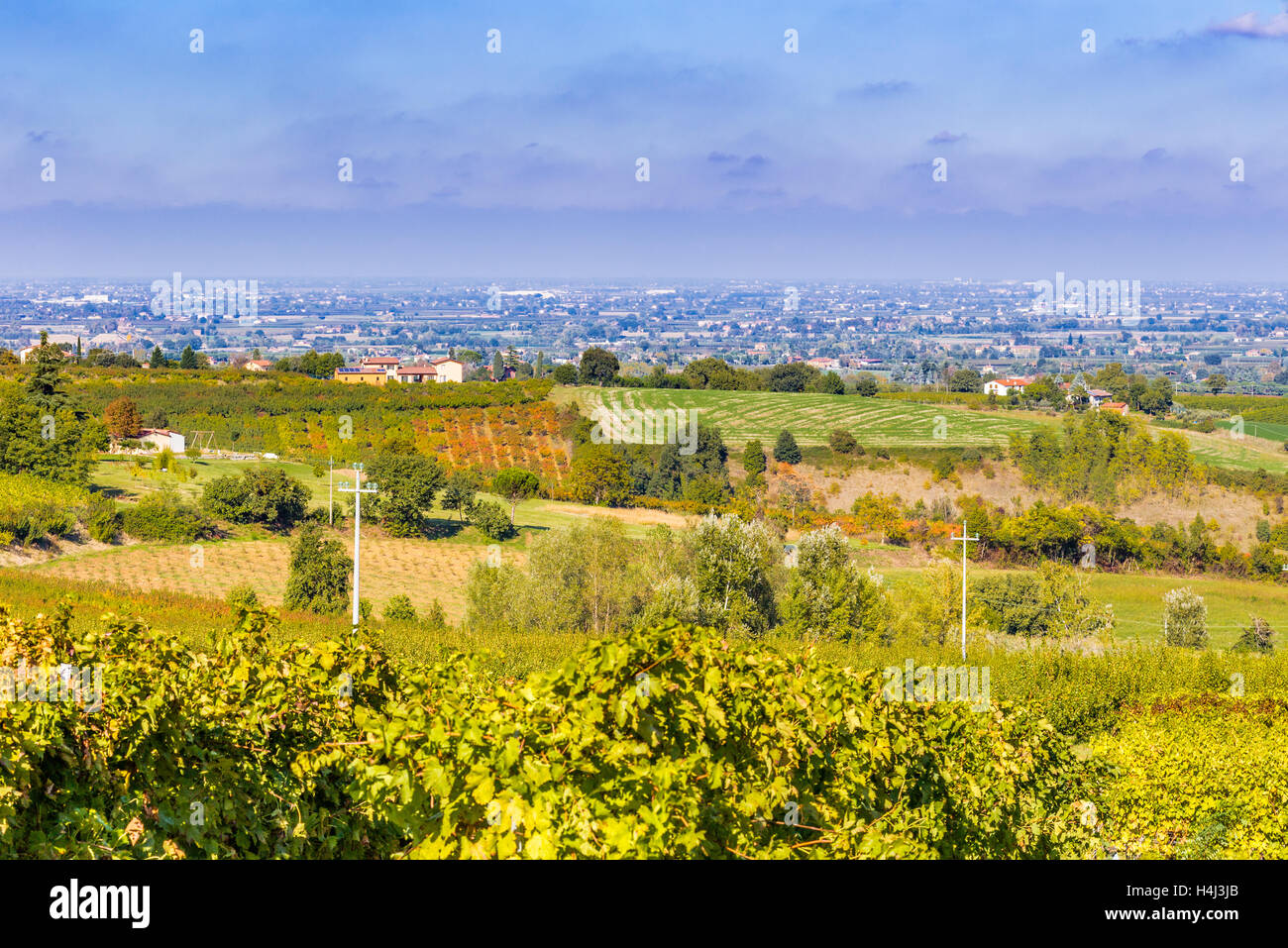 Agriculture italy hi-res stock photography and images - Alamy