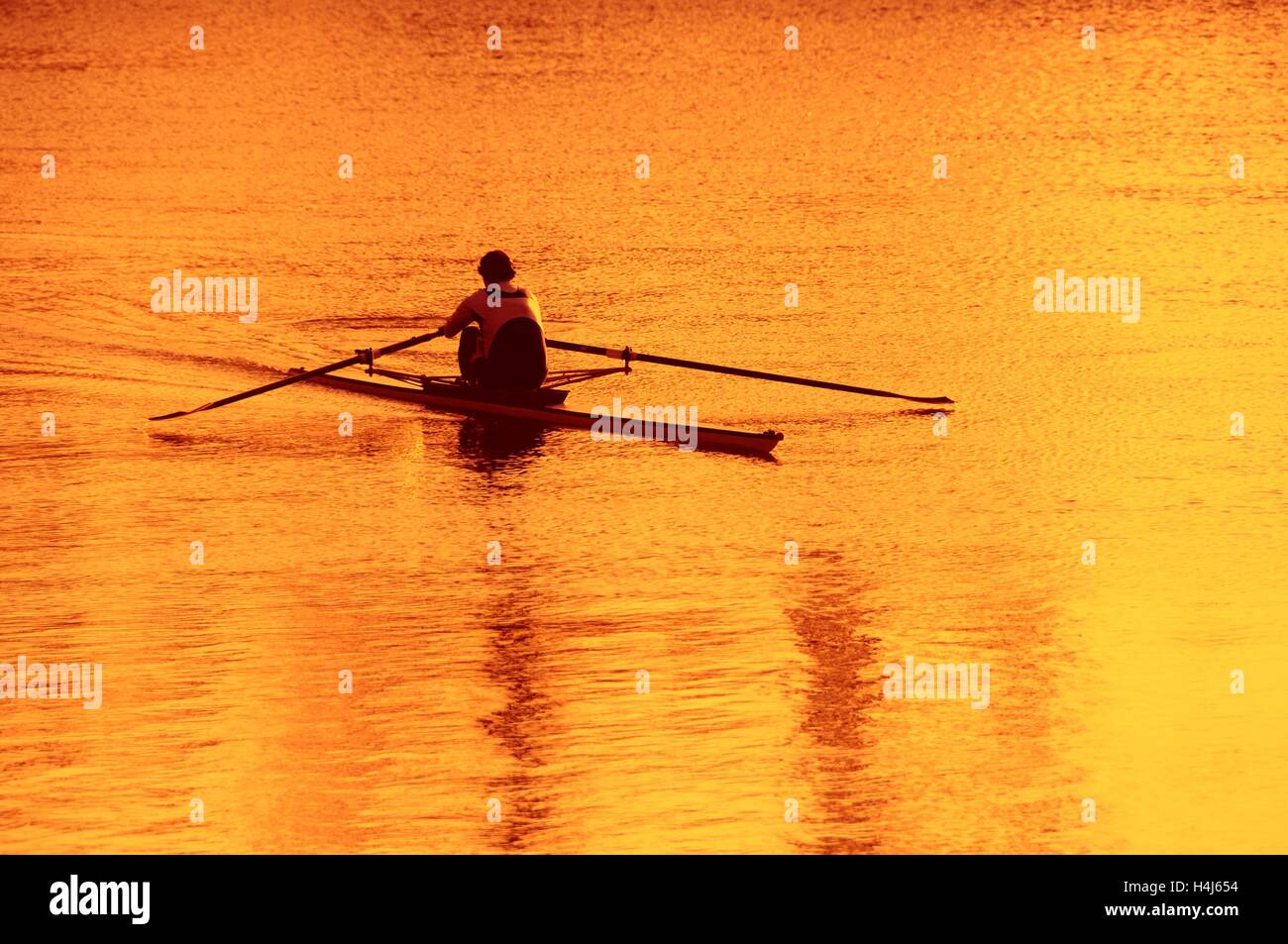 Athlete individual rowing hi-res stock photography and images - Alamy