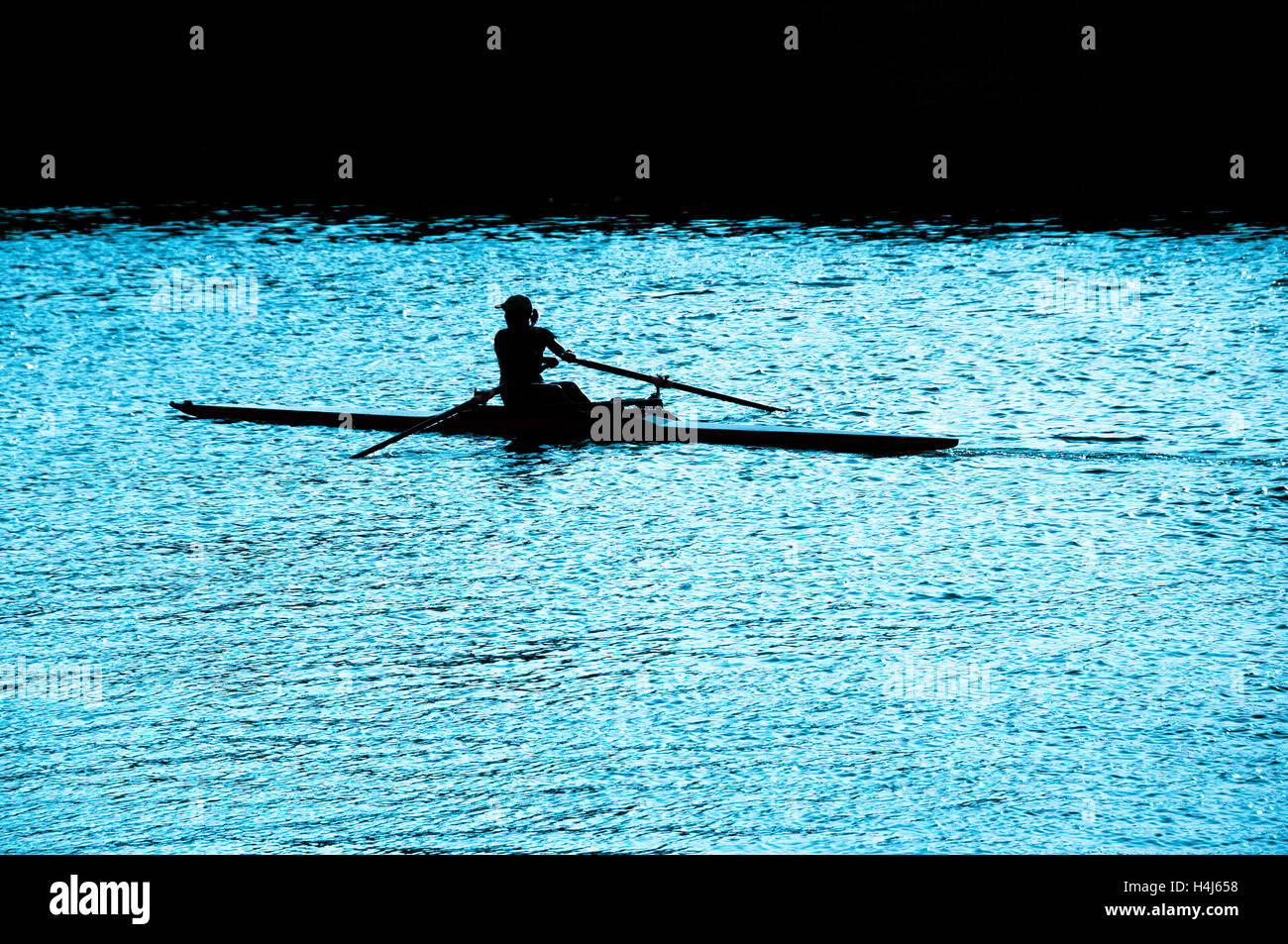 athlete training rowing in the river Stock Photo - Alamy