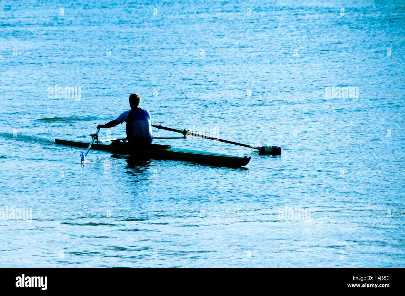 athlete training rowing in the river Stock Photo - Alamy
