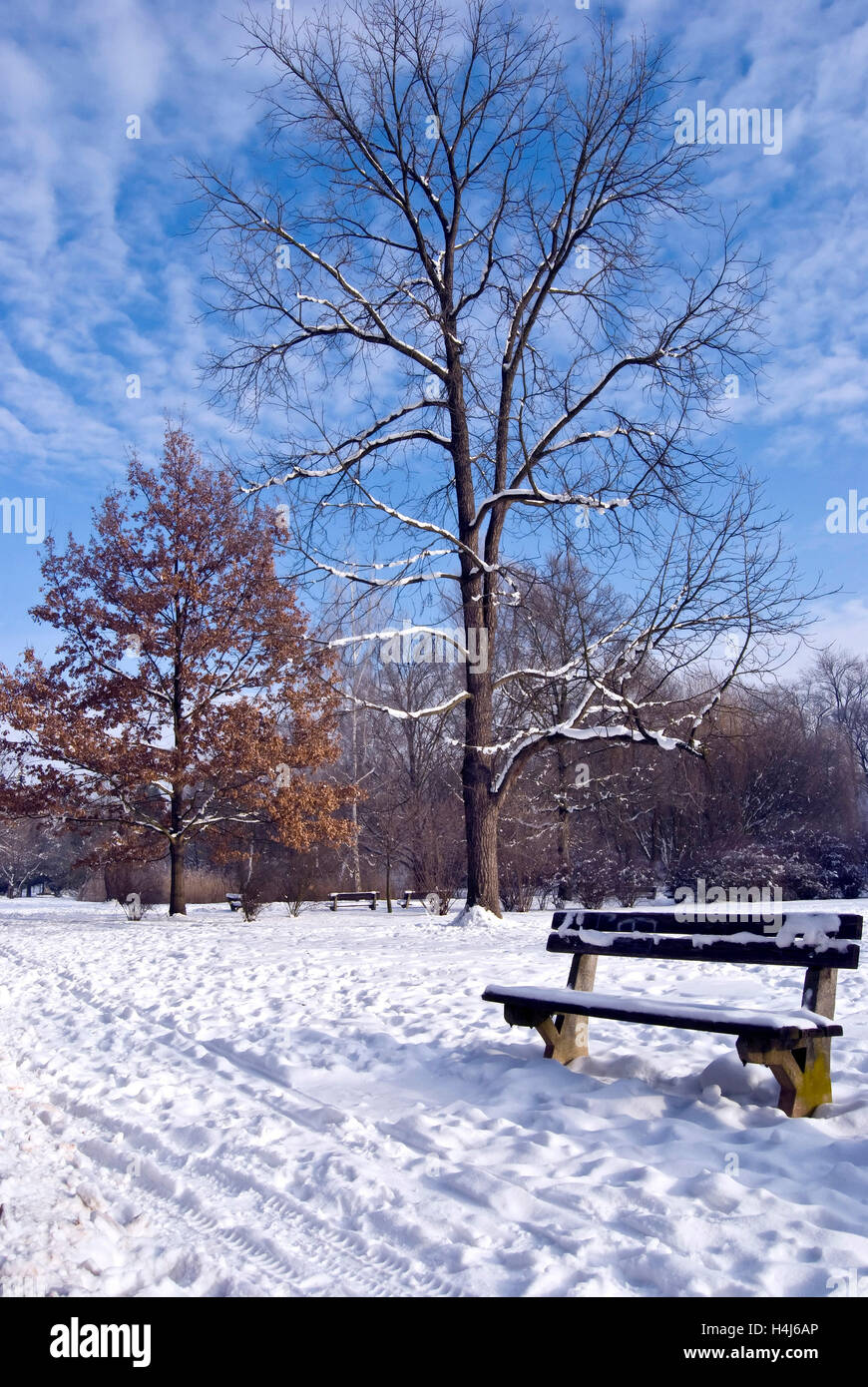Empty park bench winter hi-res stock photography and images - Alamy
