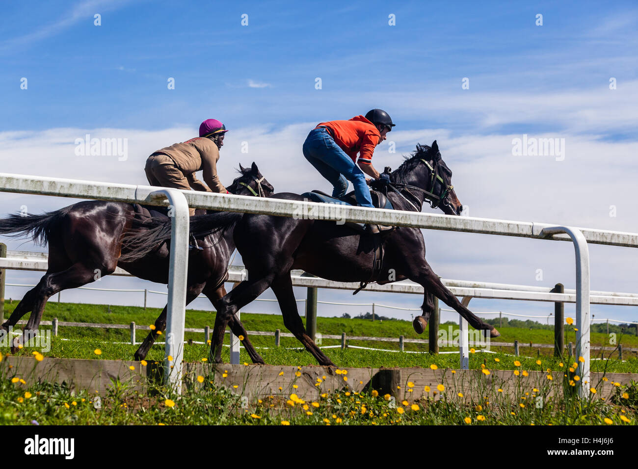 Horse and jockey hi-res stock photography and images - Alamy