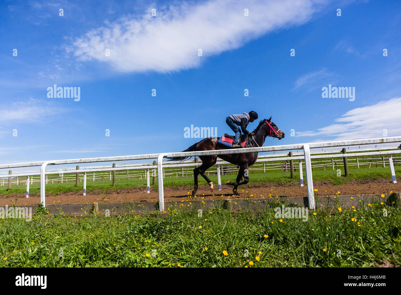 Horse and jockey hi-res stock photography and images - Alamy