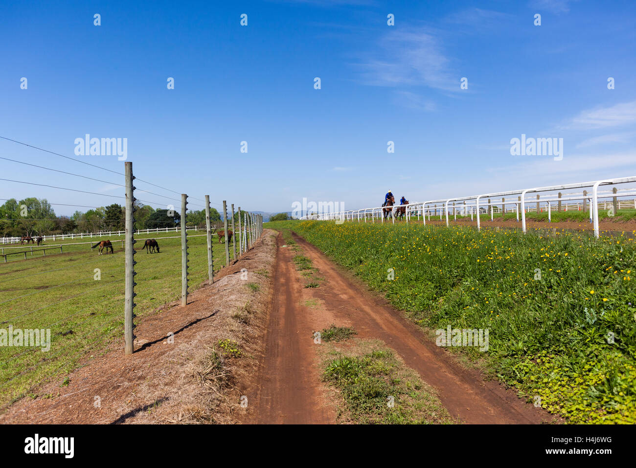 Race horse jockey rider running action photo at training track ...