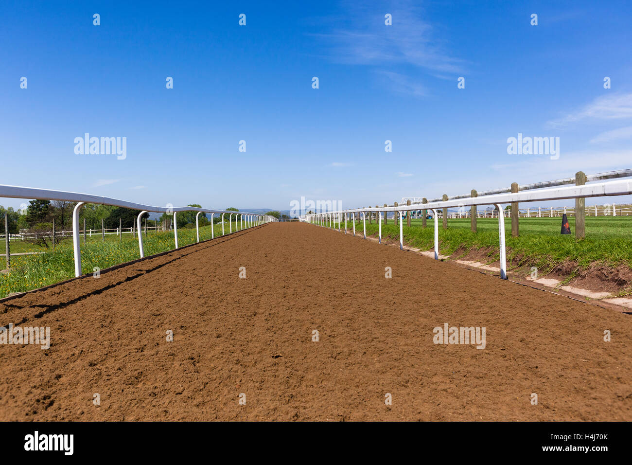 Race horse sand grass training track landscape Stock Photo - Alamy