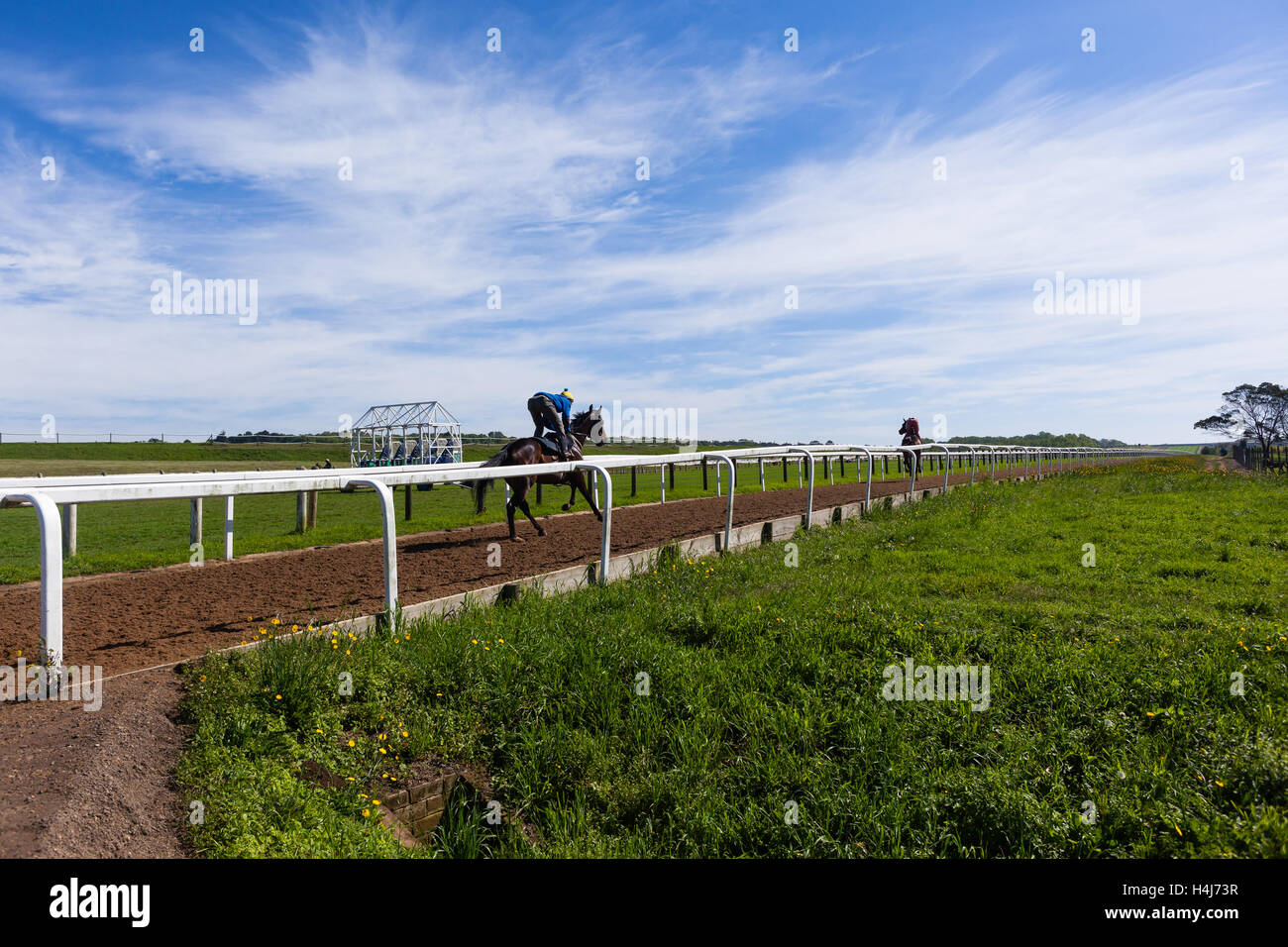 Race horse jockey rider running action photo at training track Stock ...