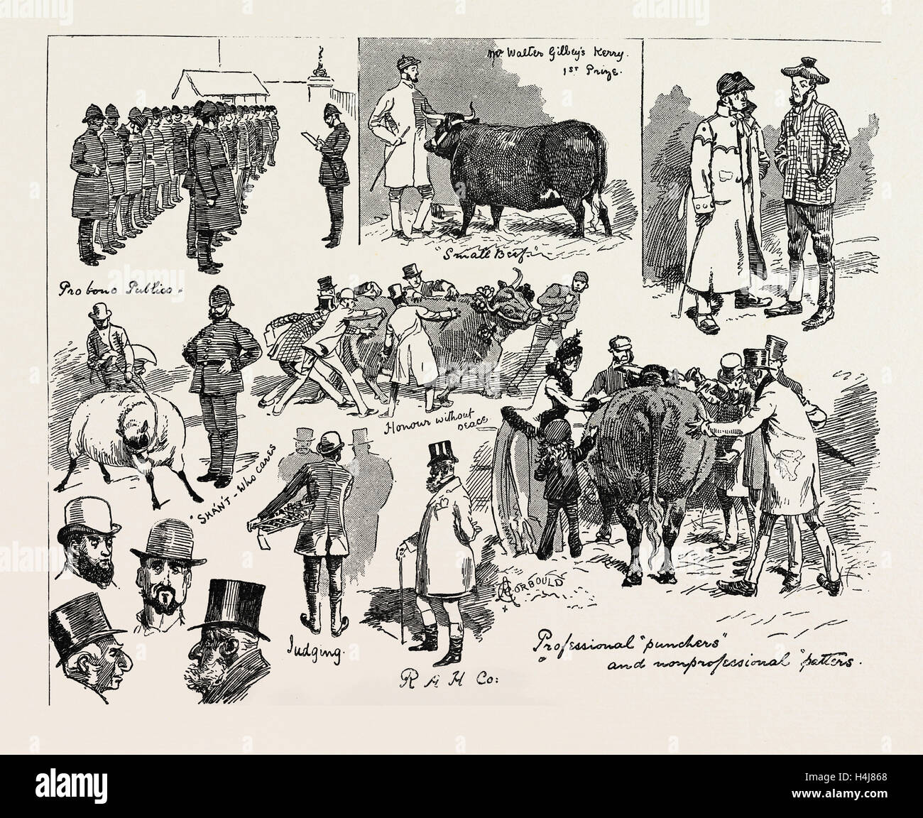 The Smithfield club cattle show at the agricultural Hall, London UK ...