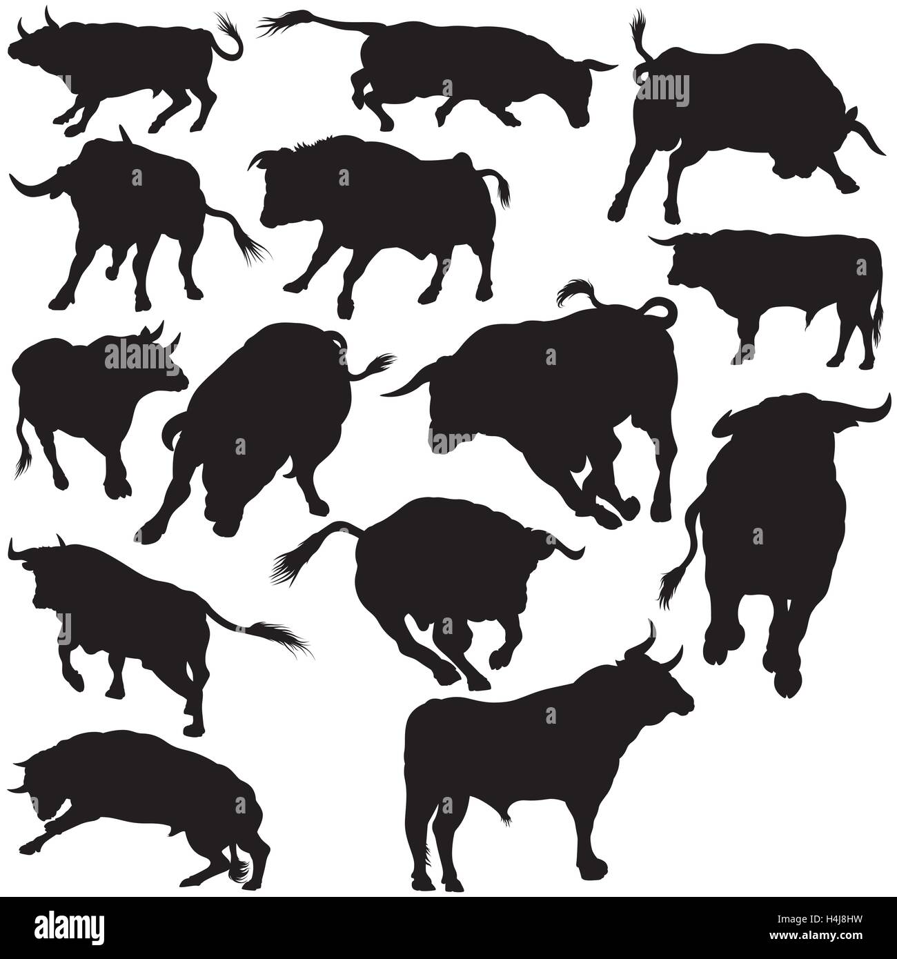 Horned bulls Stock Vector Images - Alamy