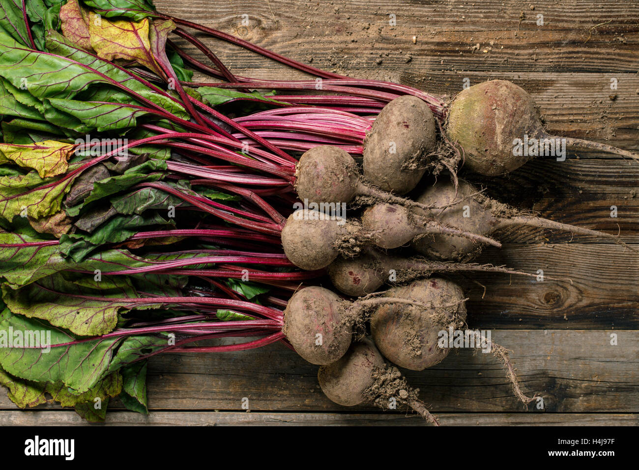 Beetroot with leaves and stems Stock Photo - Alamy