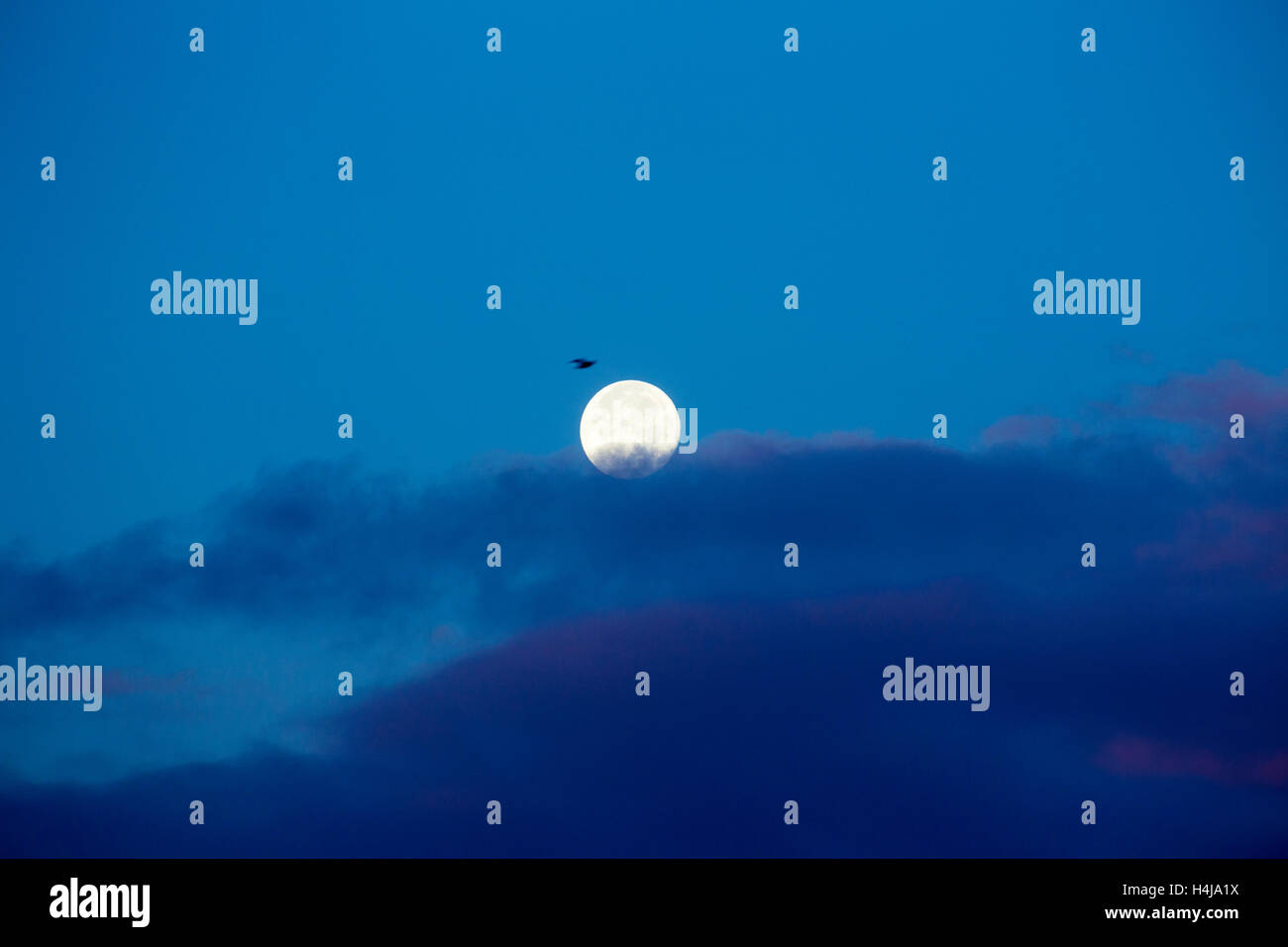 Full moon uk hi-res stock photography and images - Alamy