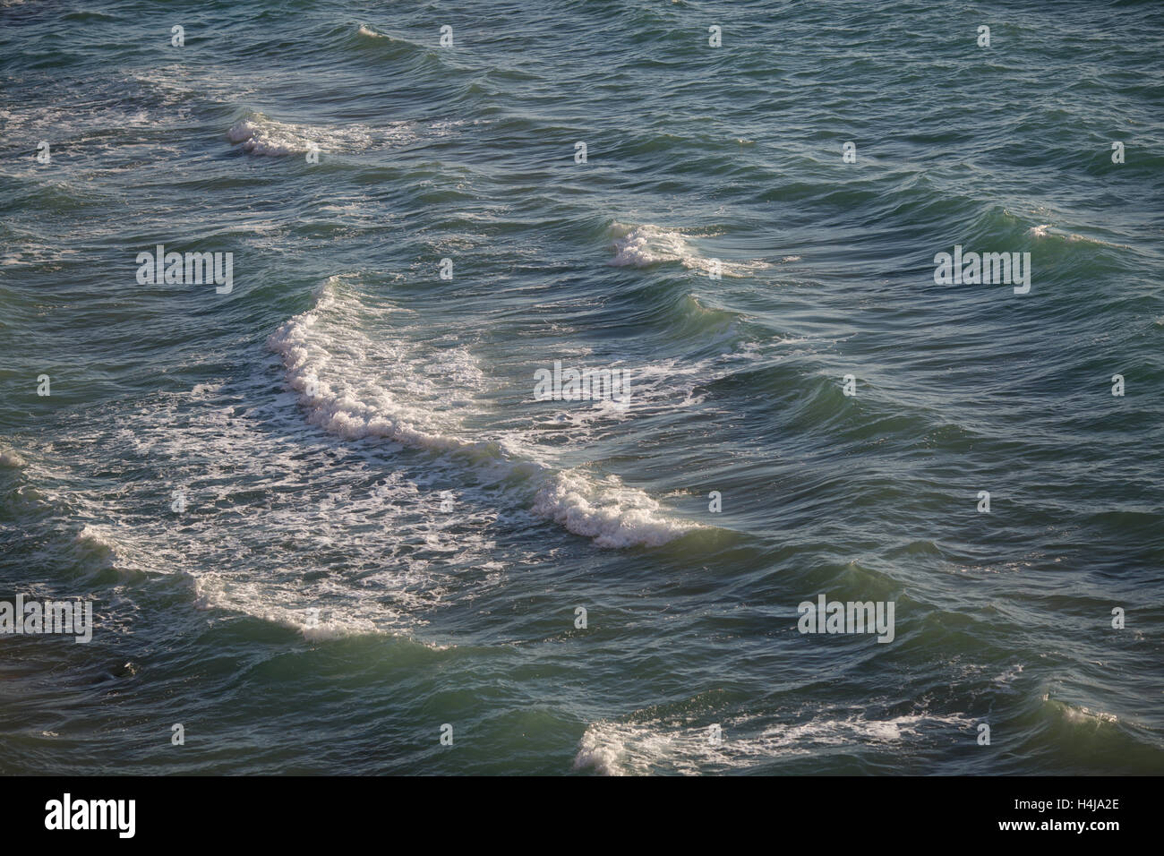 Light frothy waves of the black sea near shore Stock Photo - Alamy
