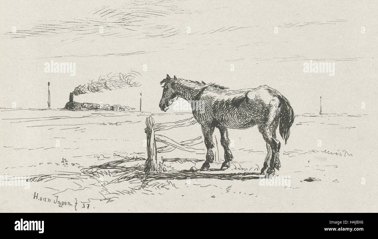 Hartogensis High Resolution Stock Photography and Images - Alamy