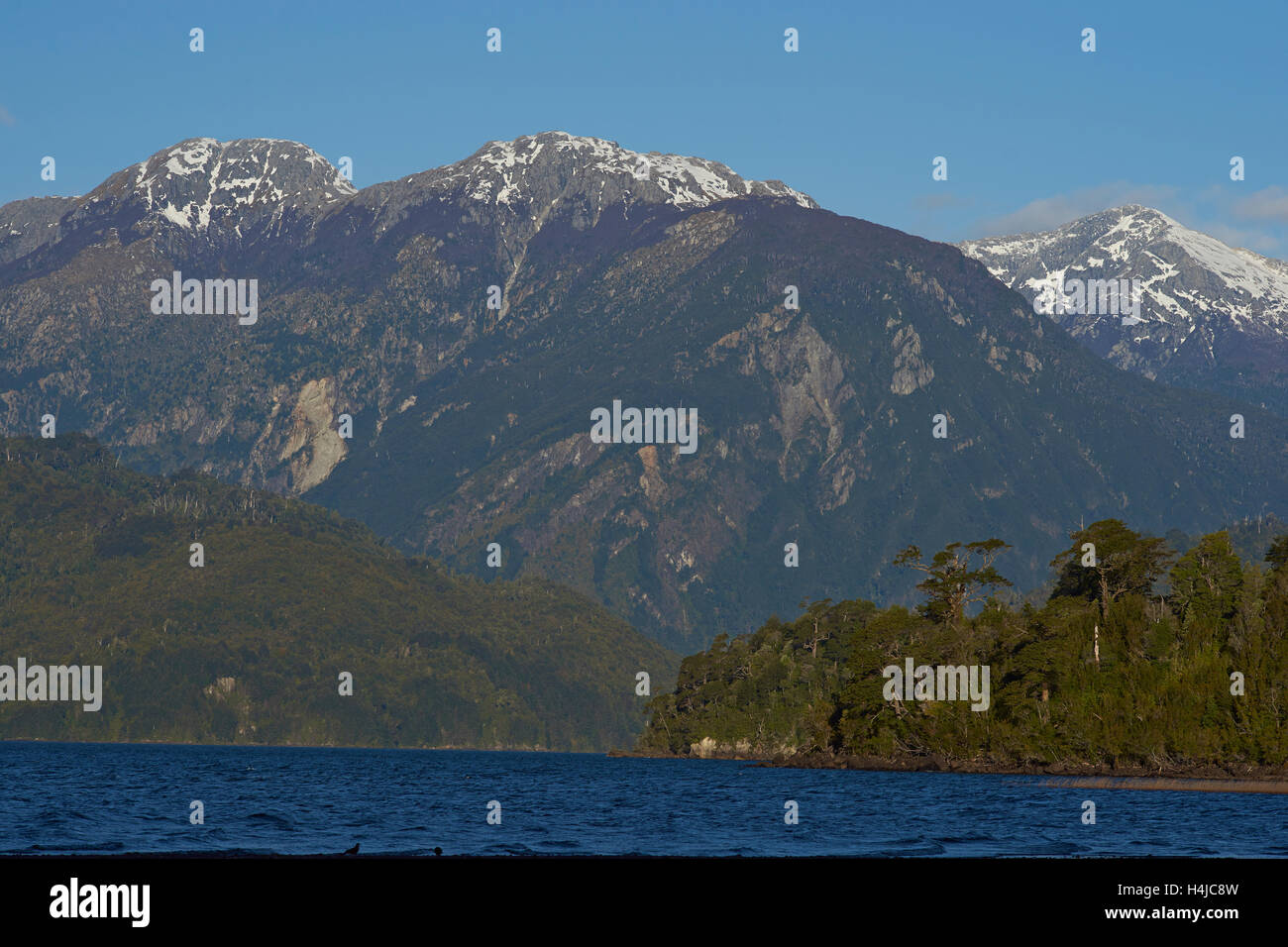 Lago Yelcho in Patagonia Stock Photo - Alamy