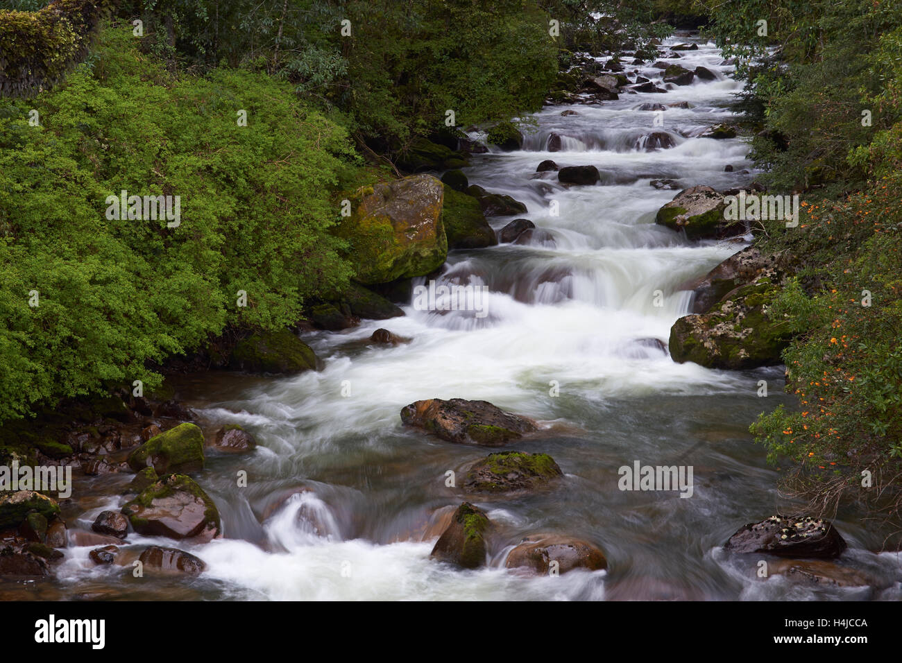 Fast flowing river in Patagonia Stock Photo - Alamy