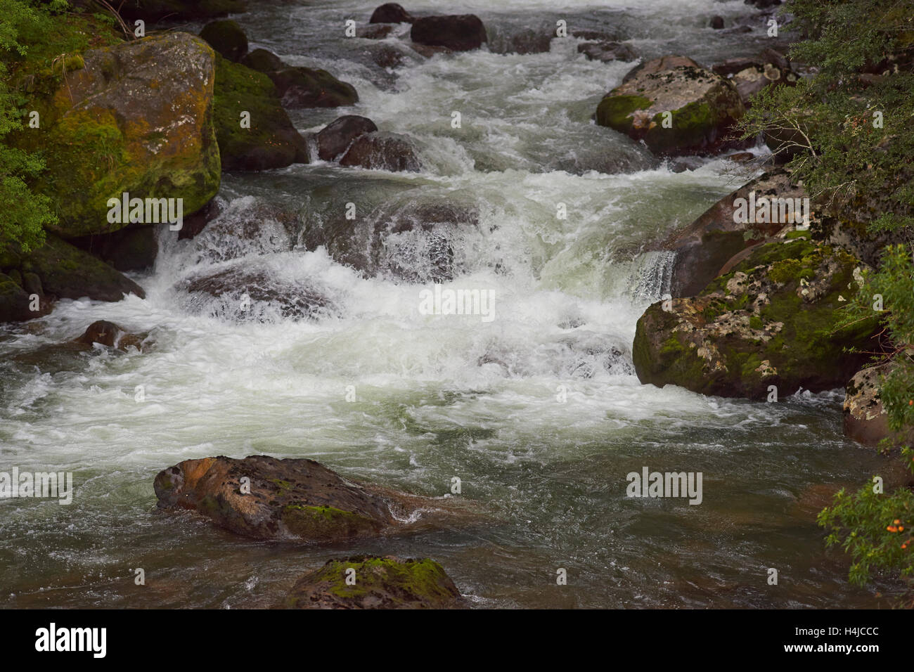 Fast flowing river in Patagonia Stock Photo - Alamy
