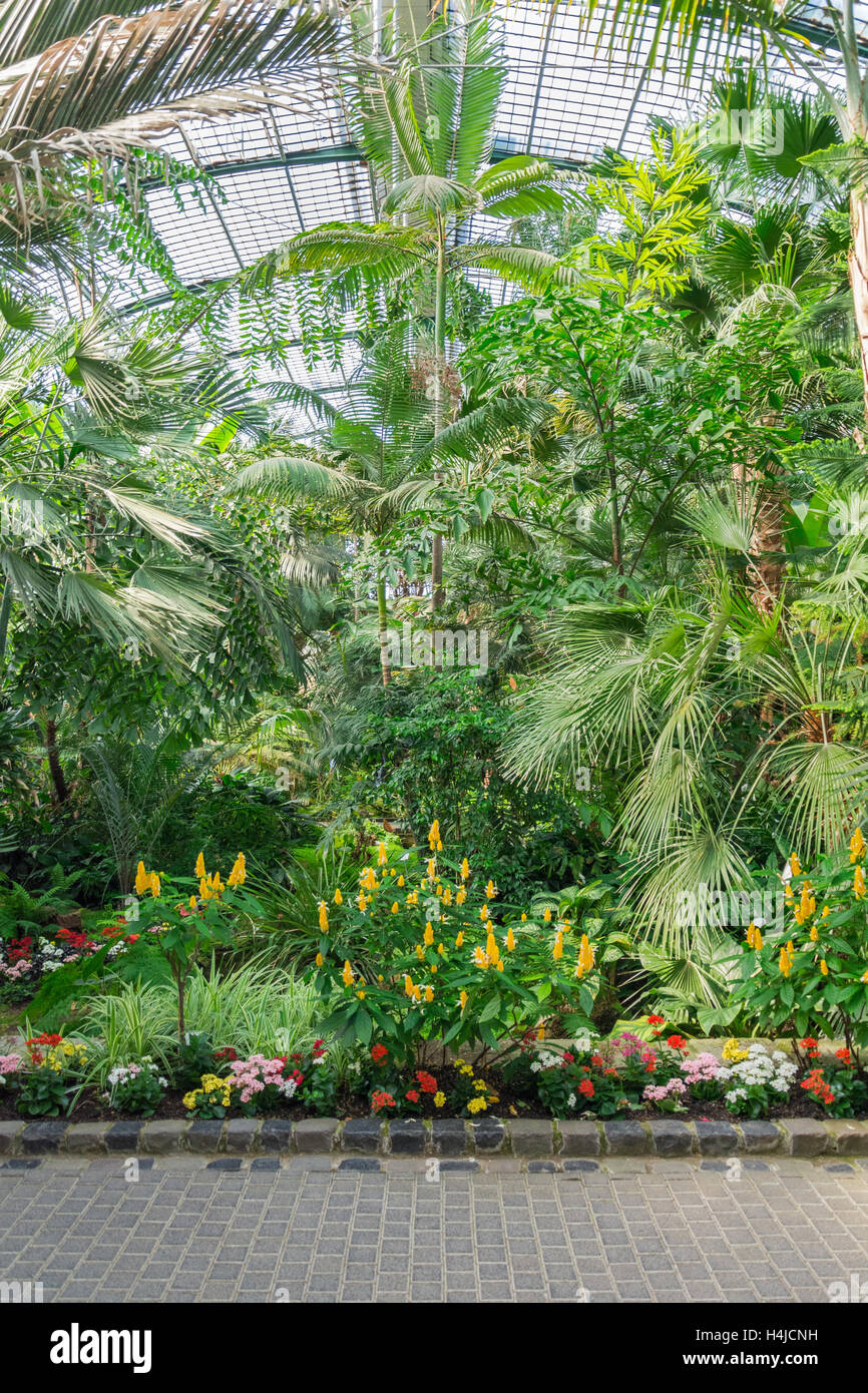 Palms in germany hi-res stock photography and images - Alamy