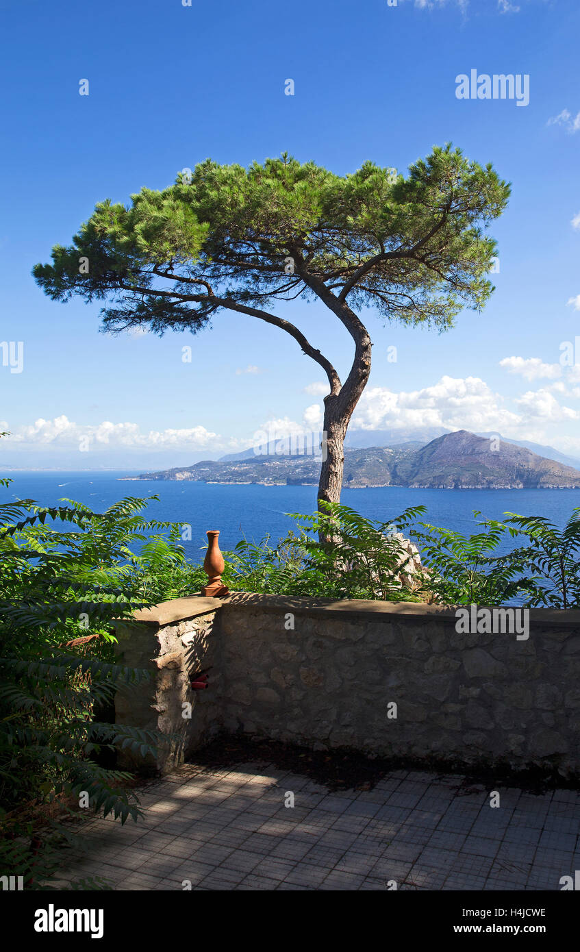 Capri island, Italy Stock Photo - Alamy