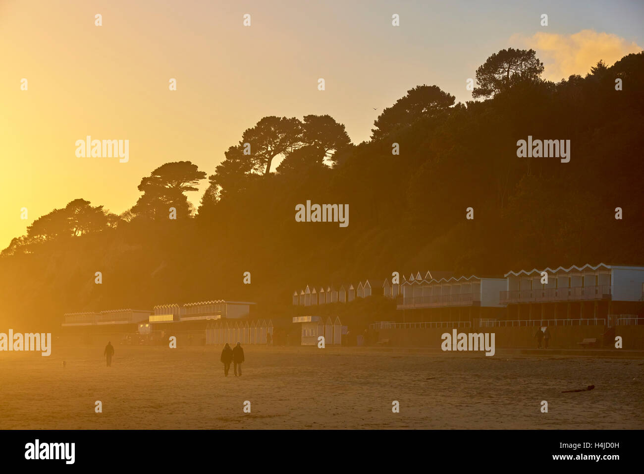 Branksome High Resolution Stock Photography and Images - Alamy