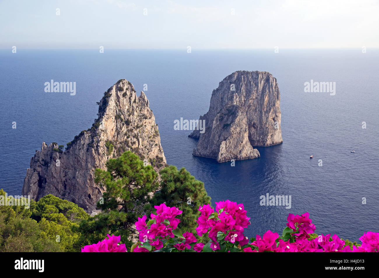 Faraglioni rocks in Capri Stock Photo - Alamy