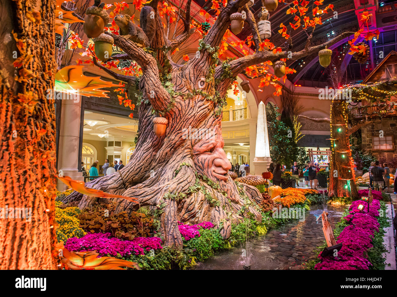 Fall season in Bellagio Hotel Conservatory & Botanical Gardens in Las ...