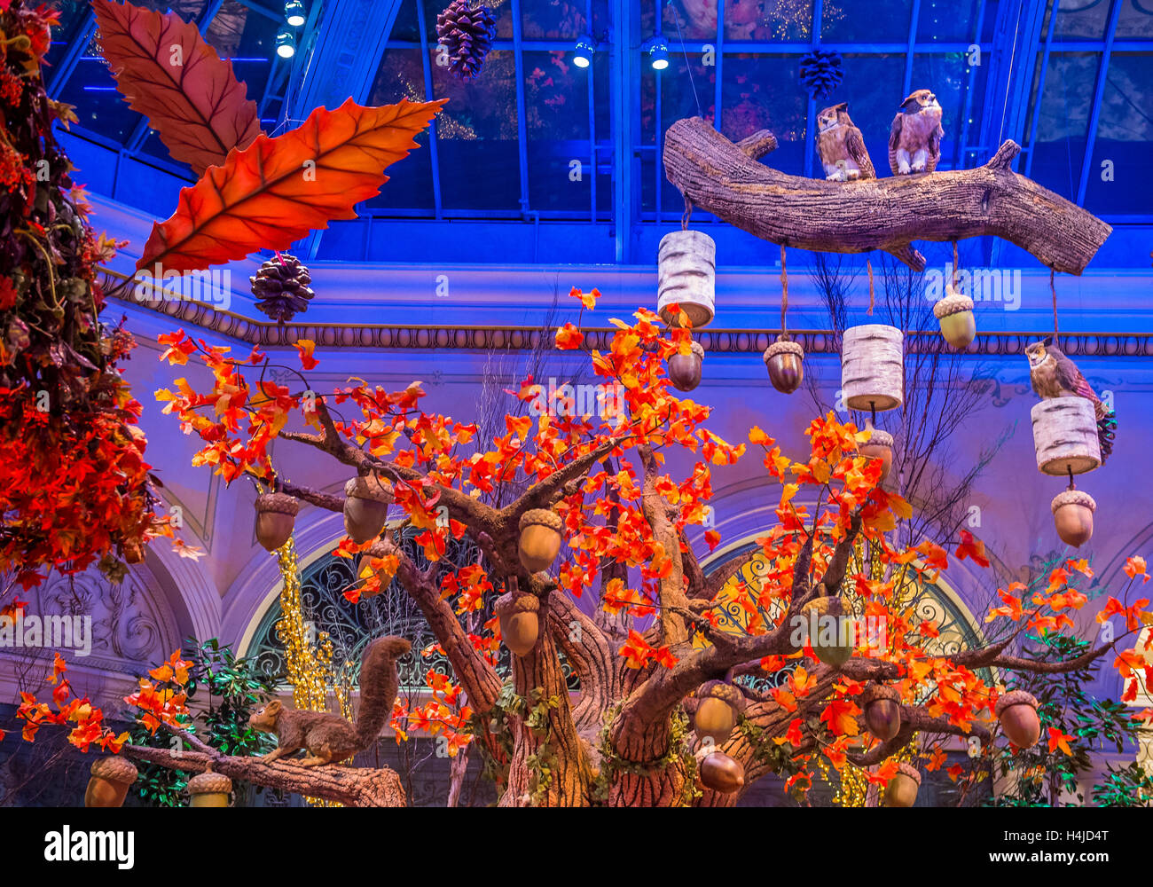 Fall season in Bellagio Hotel Conservatory & Botanical Gardens in Las ...