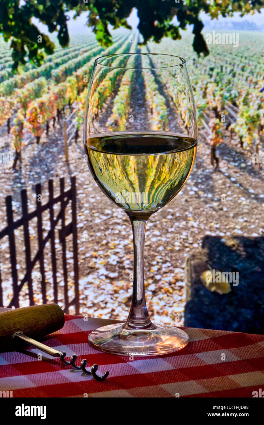 WINE GLASS & VINEYARD Chilled white wine glass on shaded picnic table ...