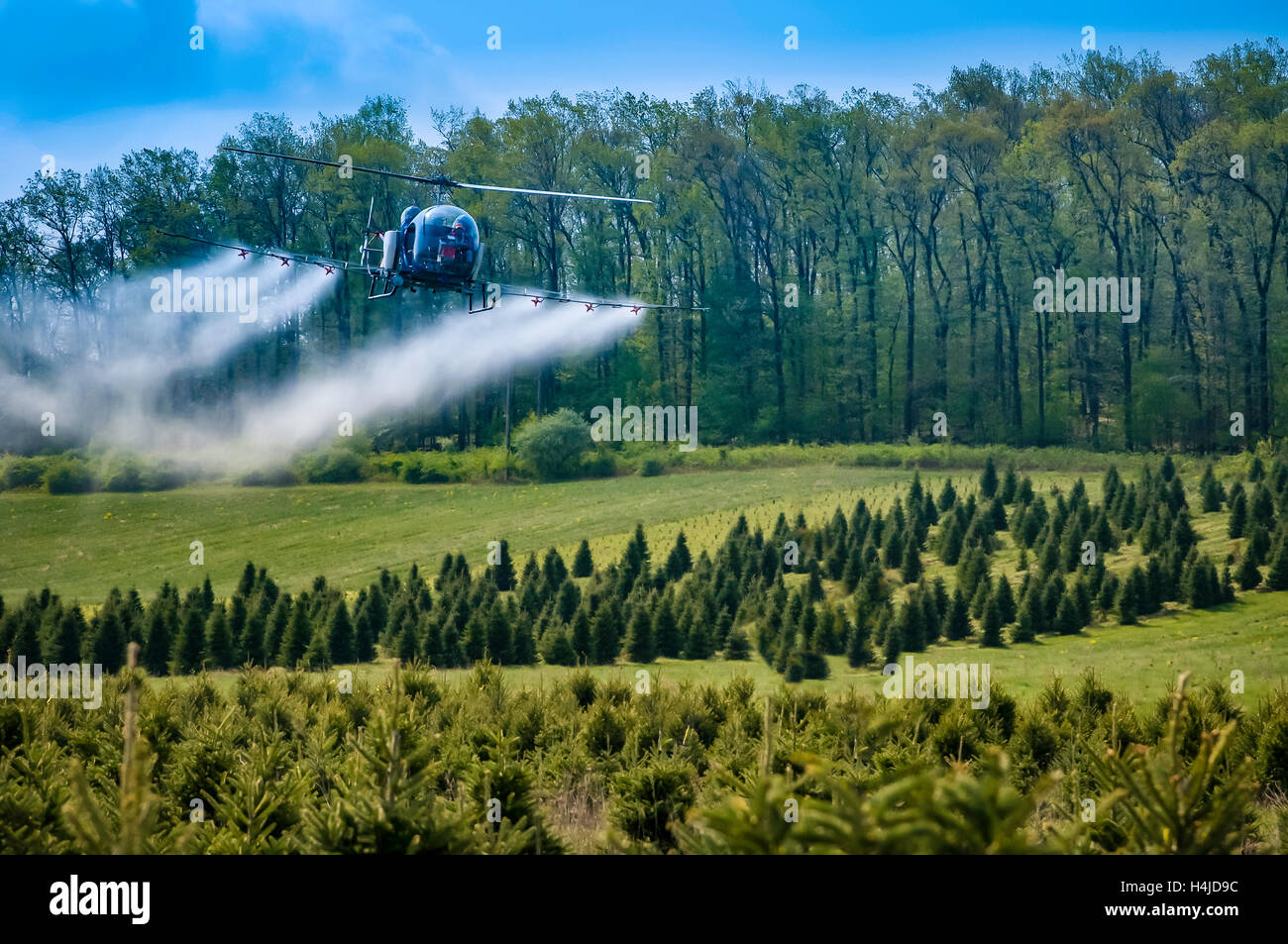 Helicopter spraying tree farm Stock Photo - Alamy