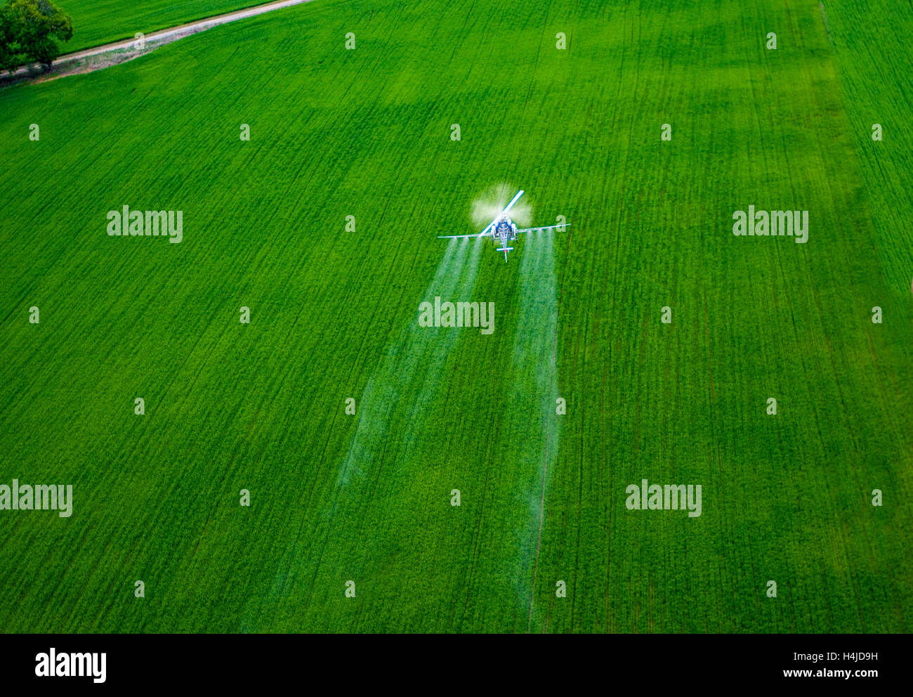 Helicopter spraying tree farm Stock Photo - Alamy
