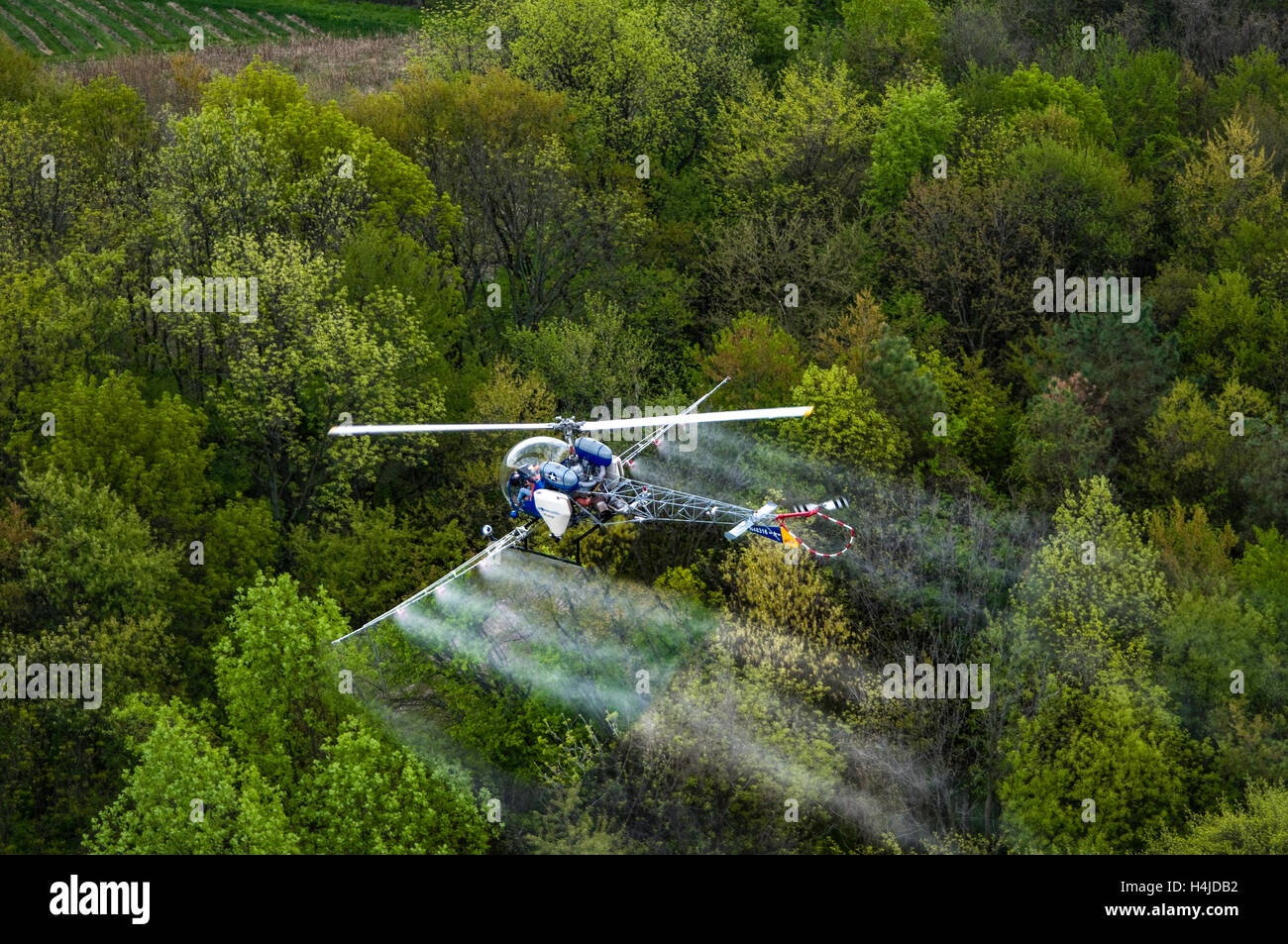 Helicopter spraying tree farm Stock Photo - Alamy