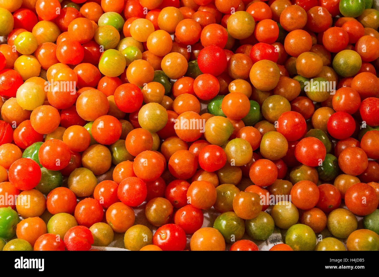 large amount of cherry tomatoes Stock Photo - Alamy
