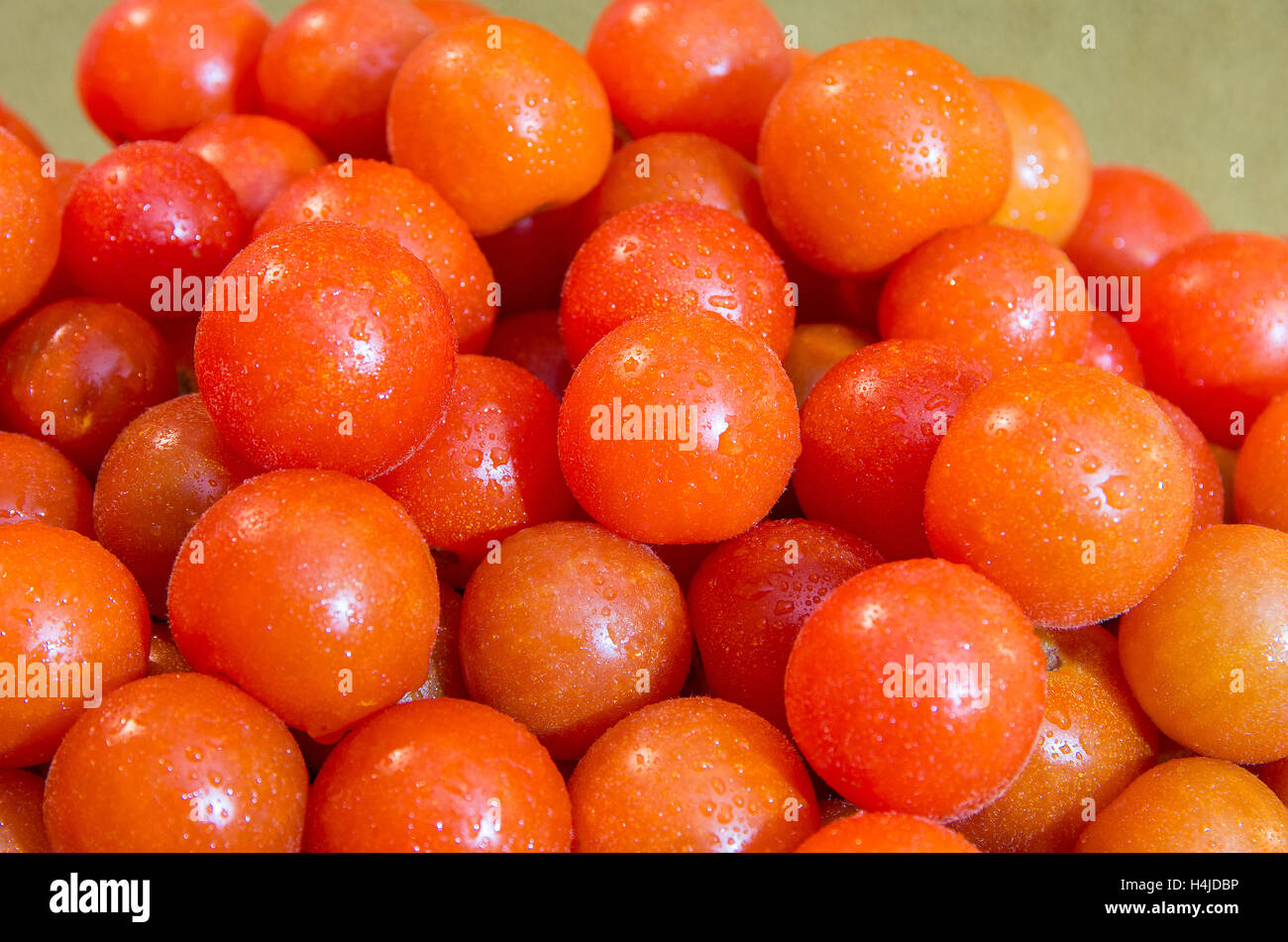 Large amount cherry tomatoes hi-res stock photography and images - Alamy