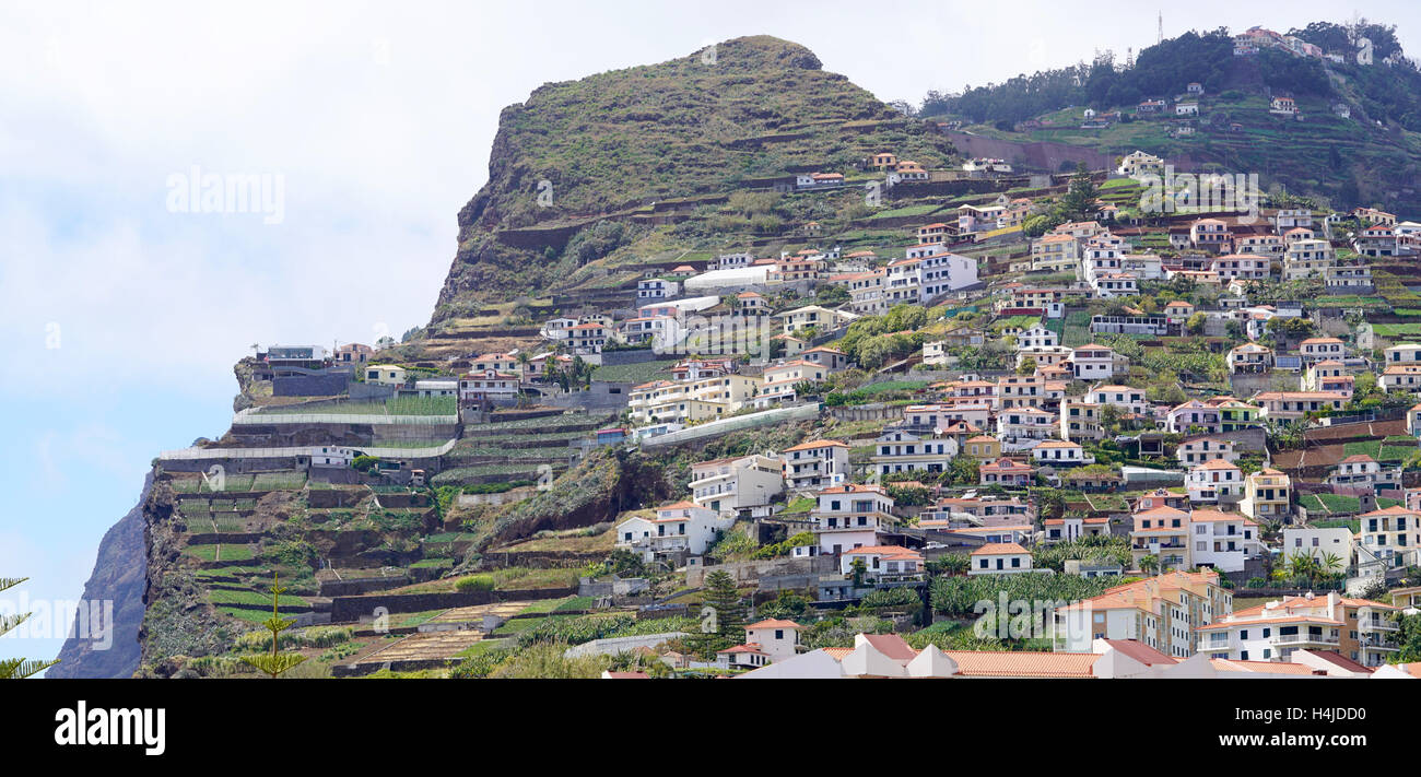 view of some traditional houses in Madeira Stock Photo - Alamy