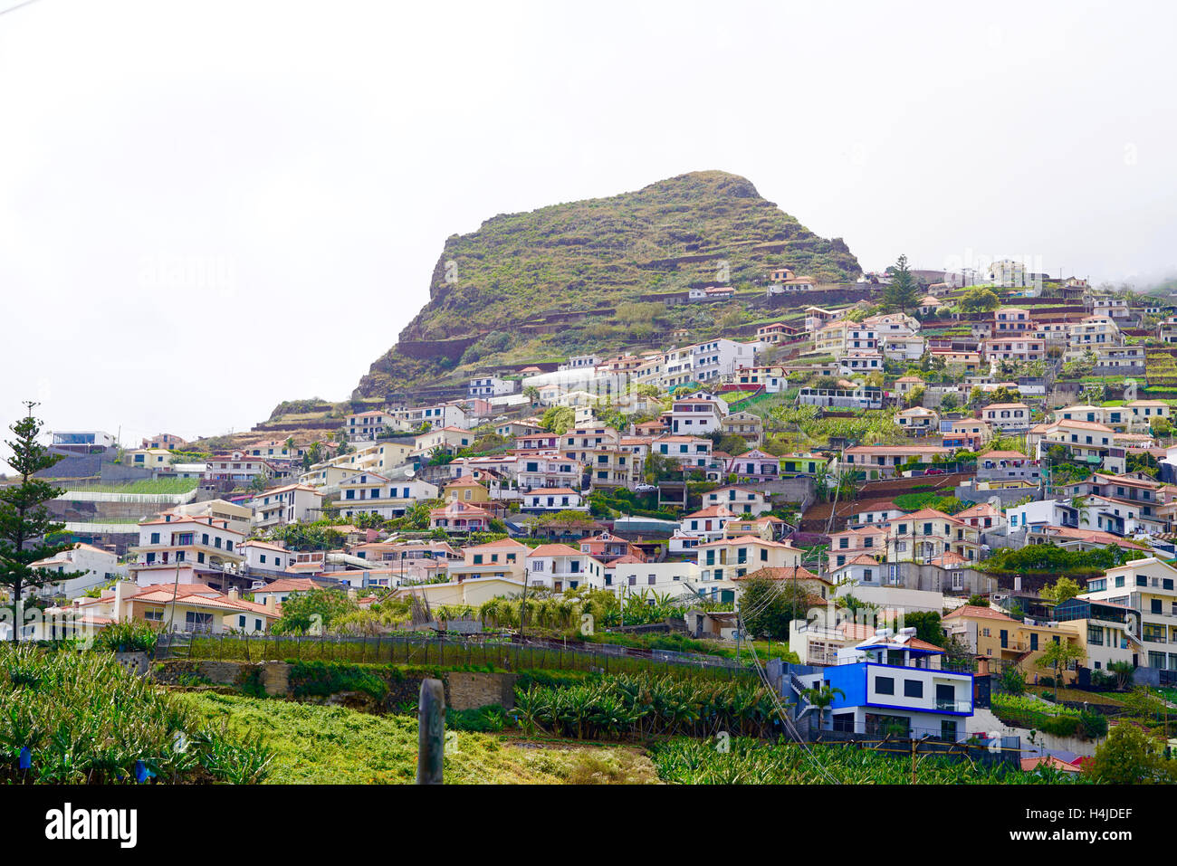 typical homes of the island of Madeira Stock Photo - Alamy