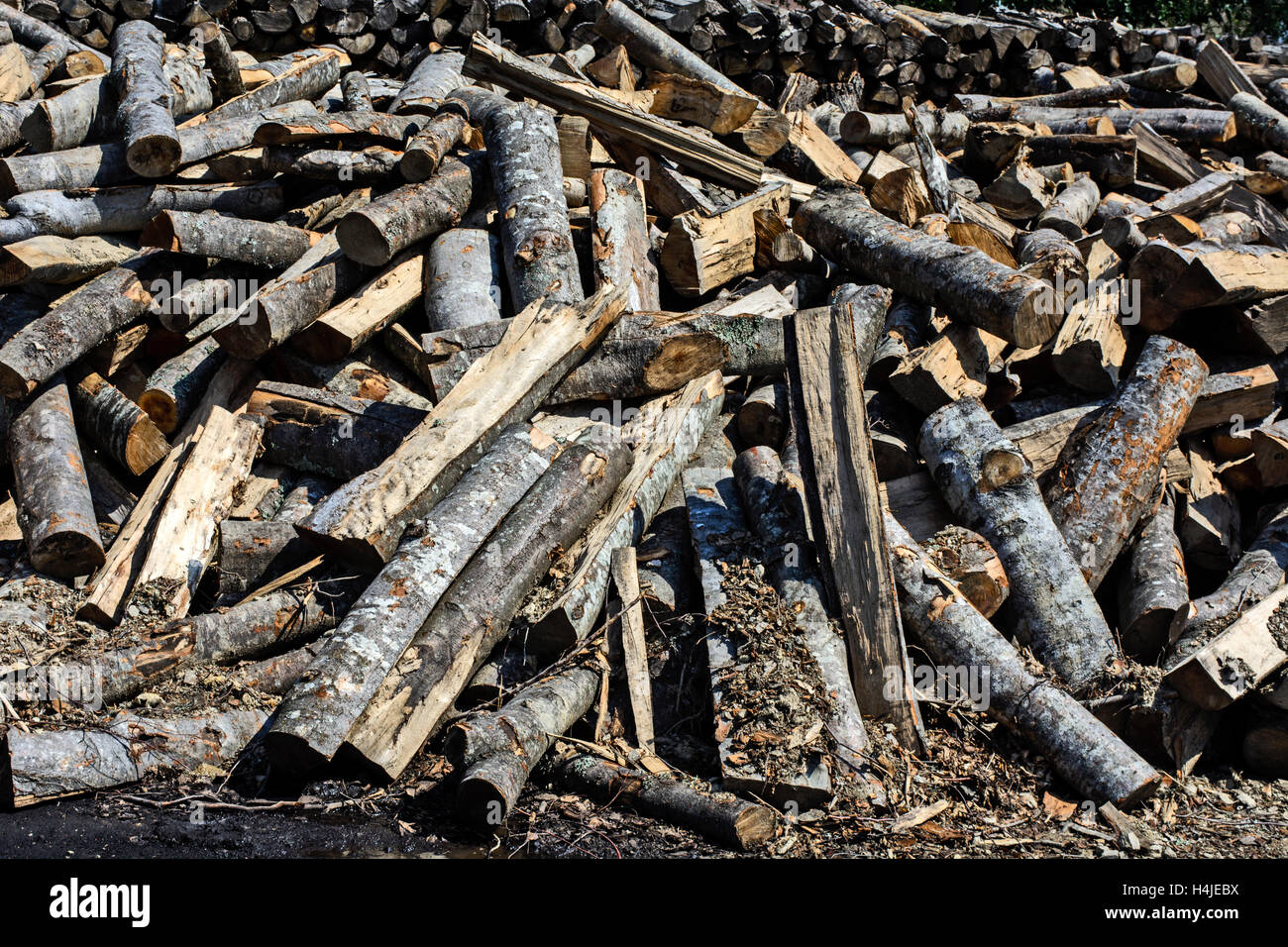 Wood at the depot, cut the log and ready for sale Stock Photo - Alamy