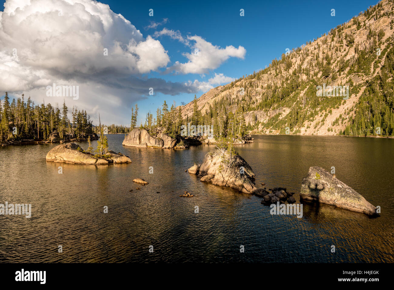 Imogene hi-res stock photography and images - Alamy