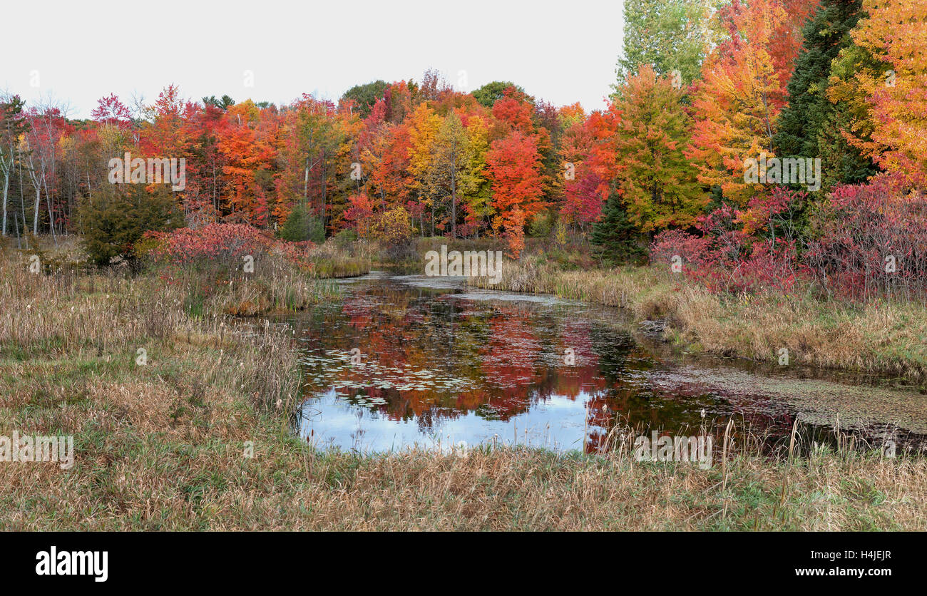 Vibrant fall colors hi-res stock photography and images - Alamy