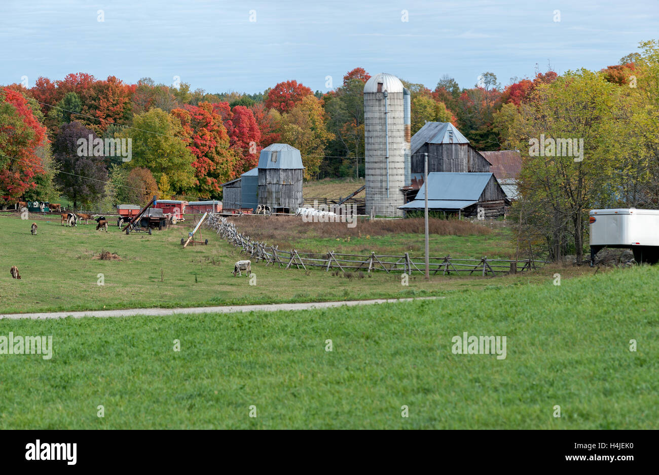 Colorful farm scene hi-res stock photography and images - Alamy