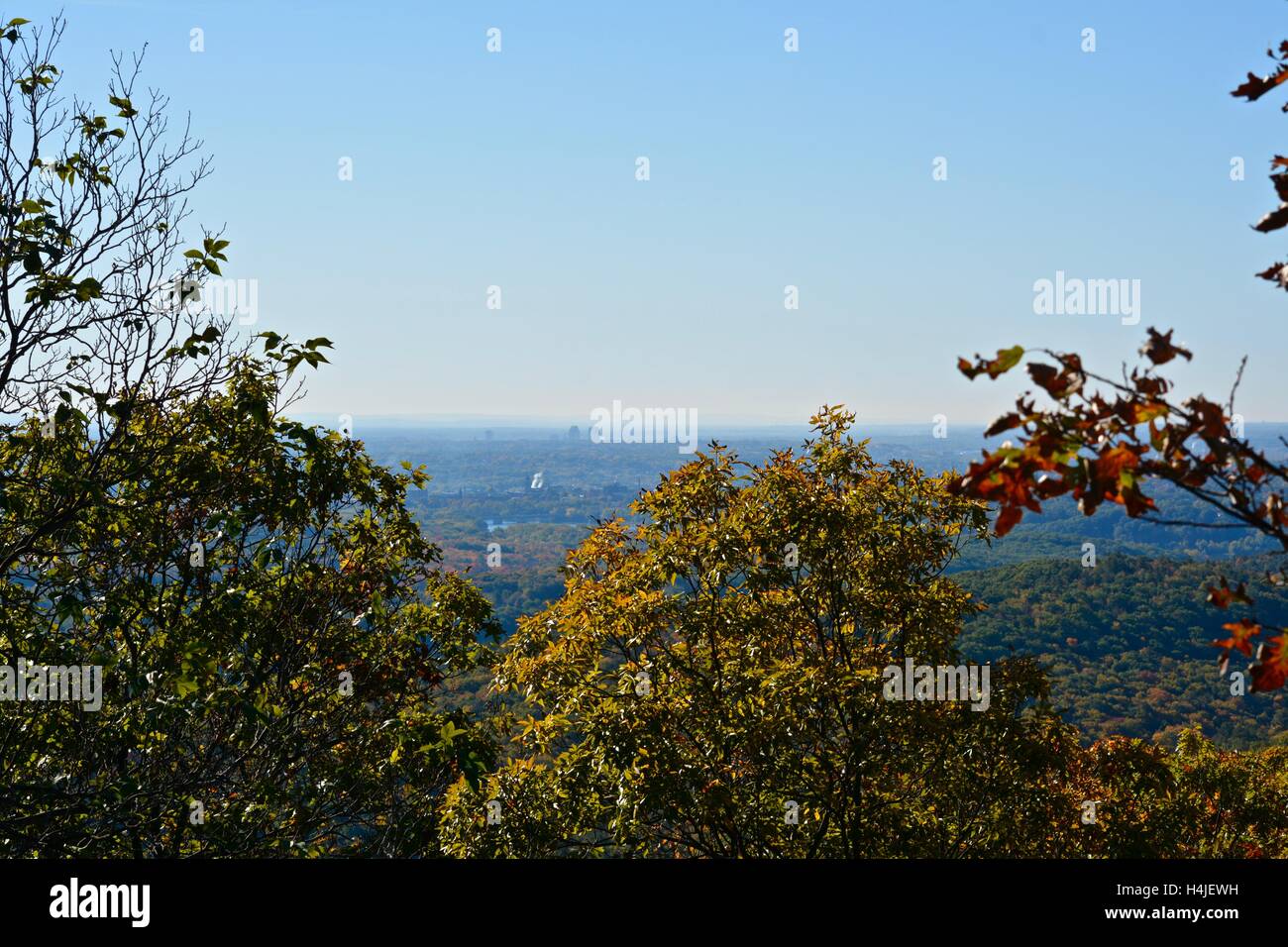 Tom Springfield High Resolution Stock Photography and Images - Alamy