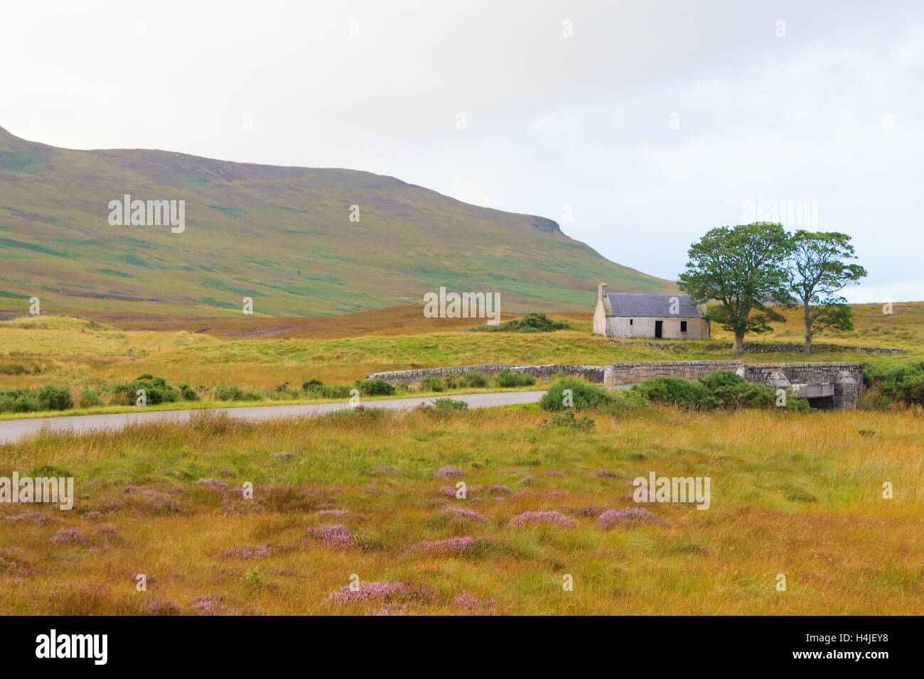 Scottish road trough countryside. Perspective road. Scotland panorama ...