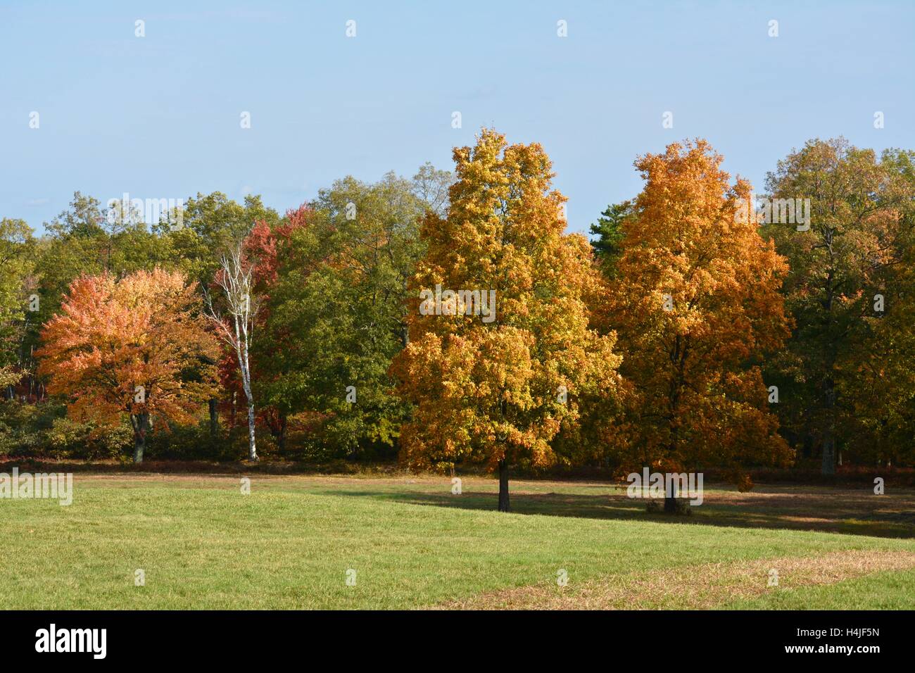 A view of the Quabbin Reservoir and Autumn foliage in Ware, Western ...