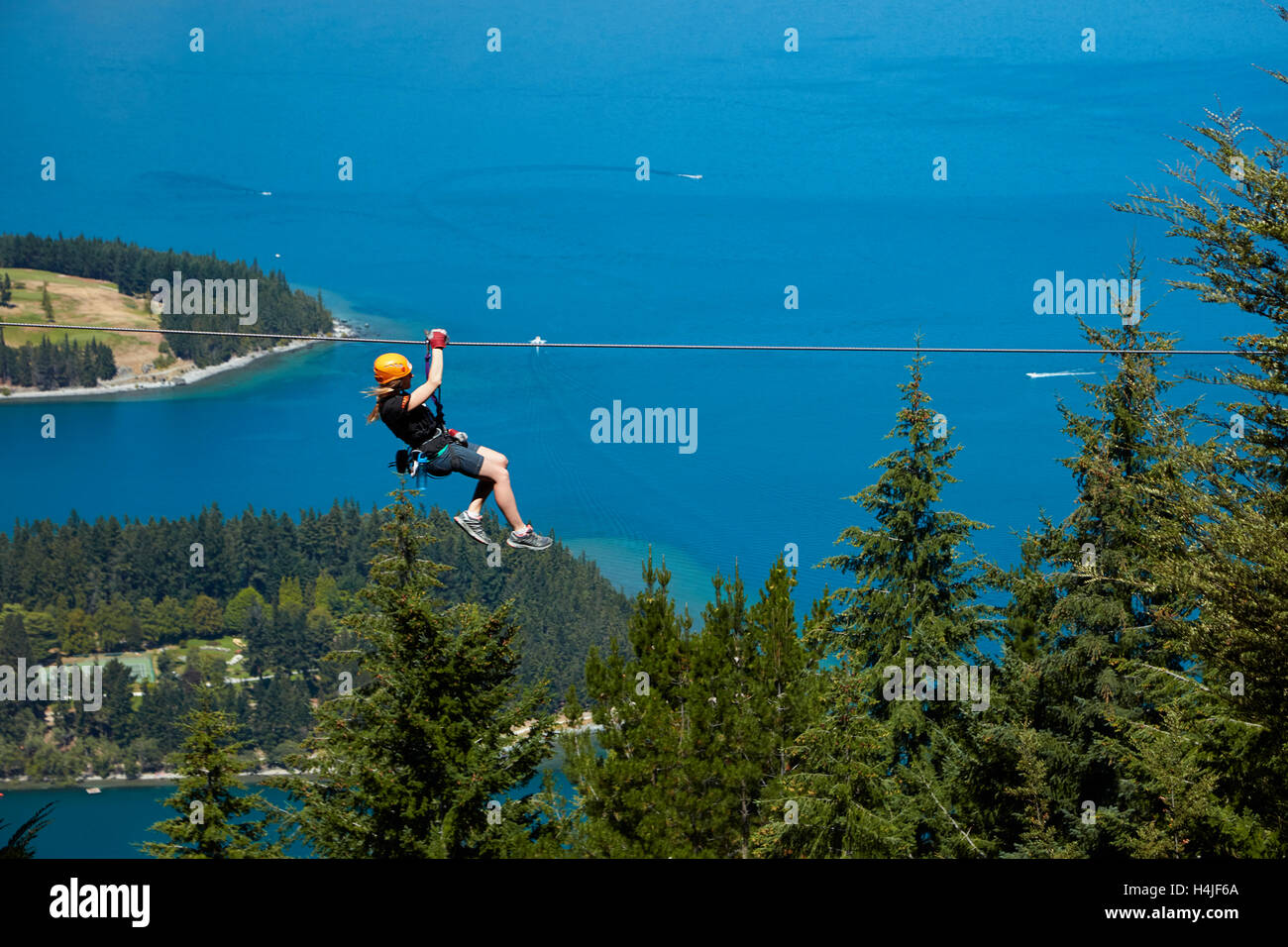 Ziplining at Skyline, above Lake Wakatipu and Queenstown, Otago, South ...