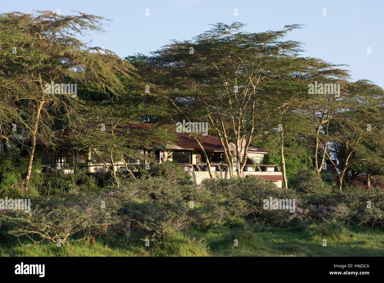 Hatari Lodge, Arusha National Park, Tanzania Stock Photo - Alamy
